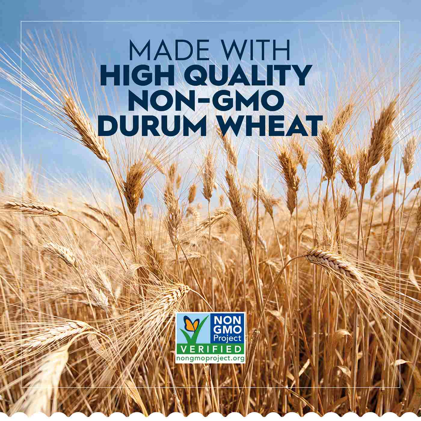 Barilla Orzo Pasta - Shop Pasta at H-E-B