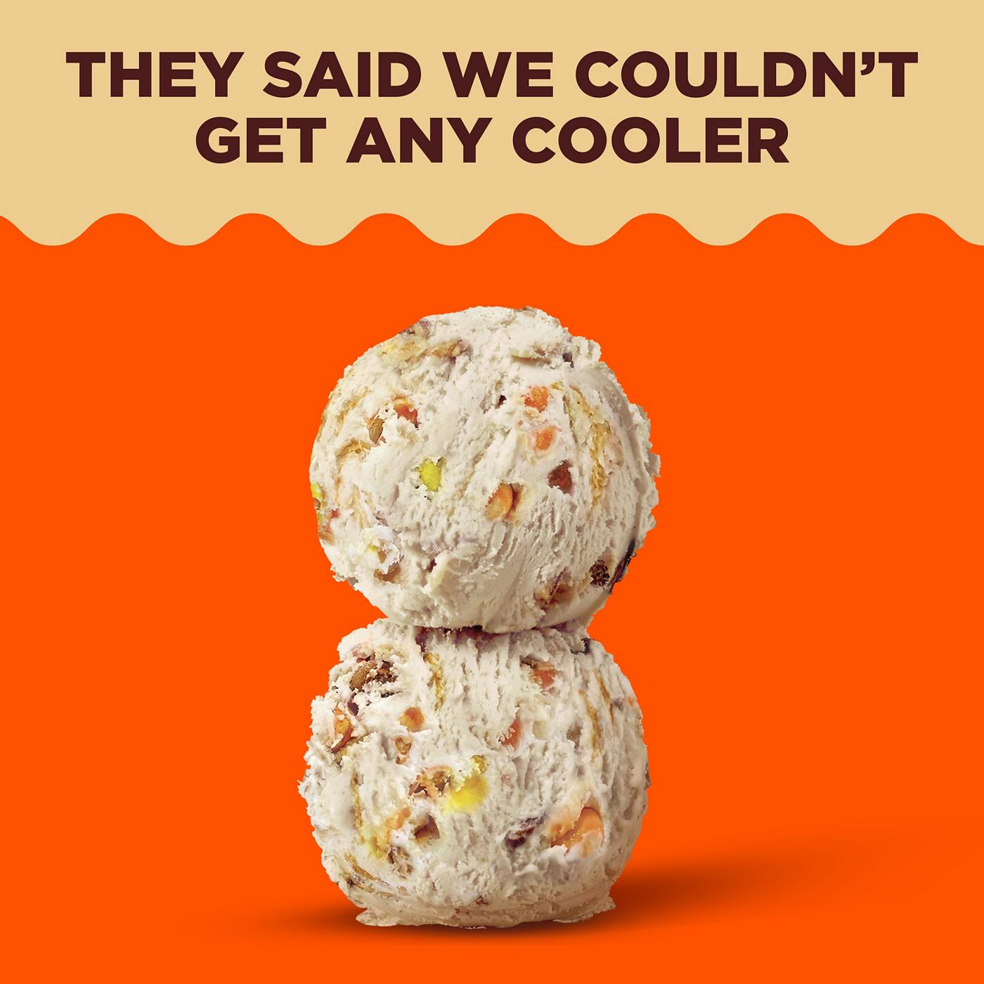 Reese's Vanilla Light Ice Cream with Mini Reese's Pieces and Peanut ...