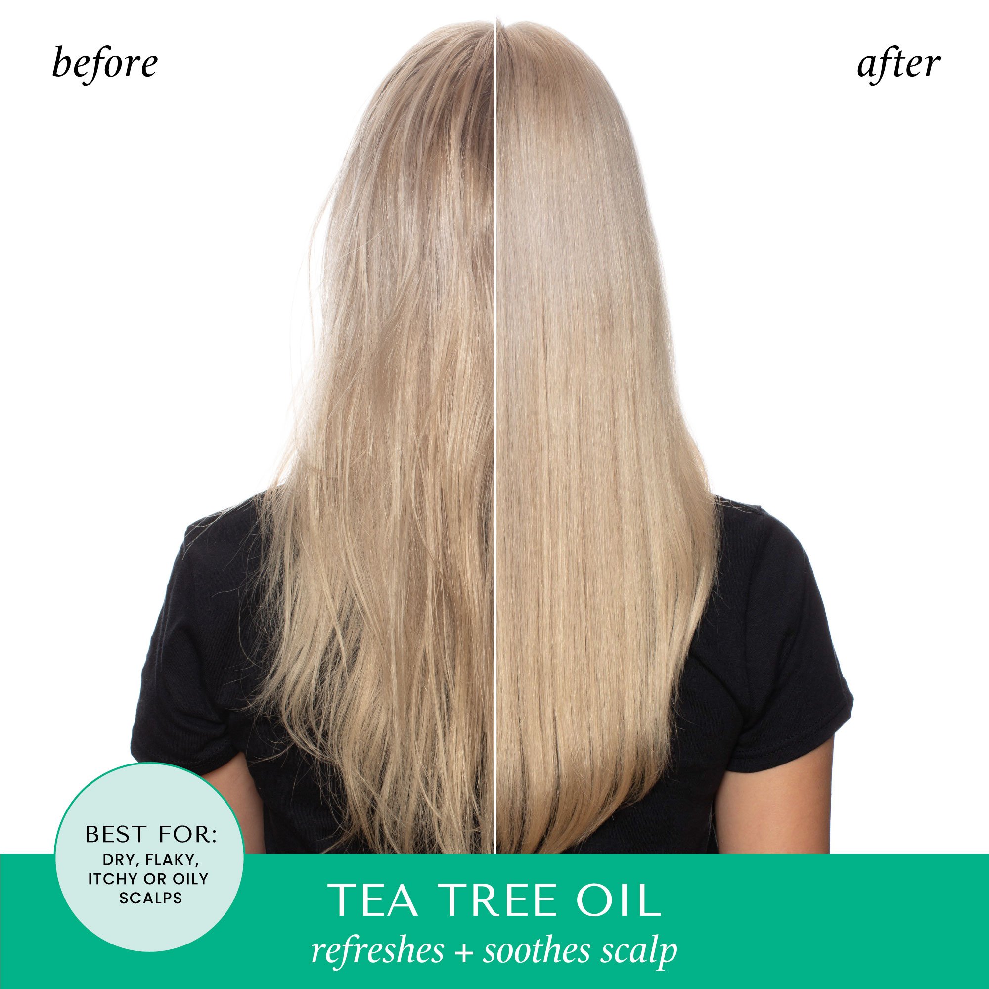 Tea tree oil shampoo and conditioner store