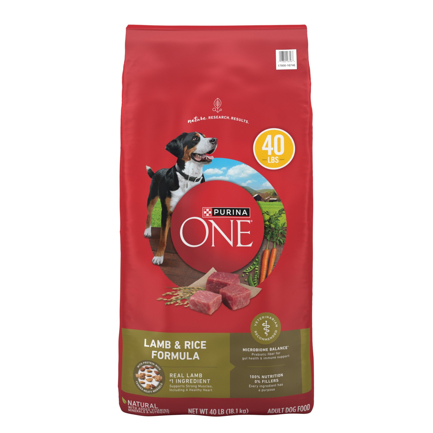 Purina ONE SmartBlend Joint Health Formula Dry Dog Food | atelier-yuwa ...