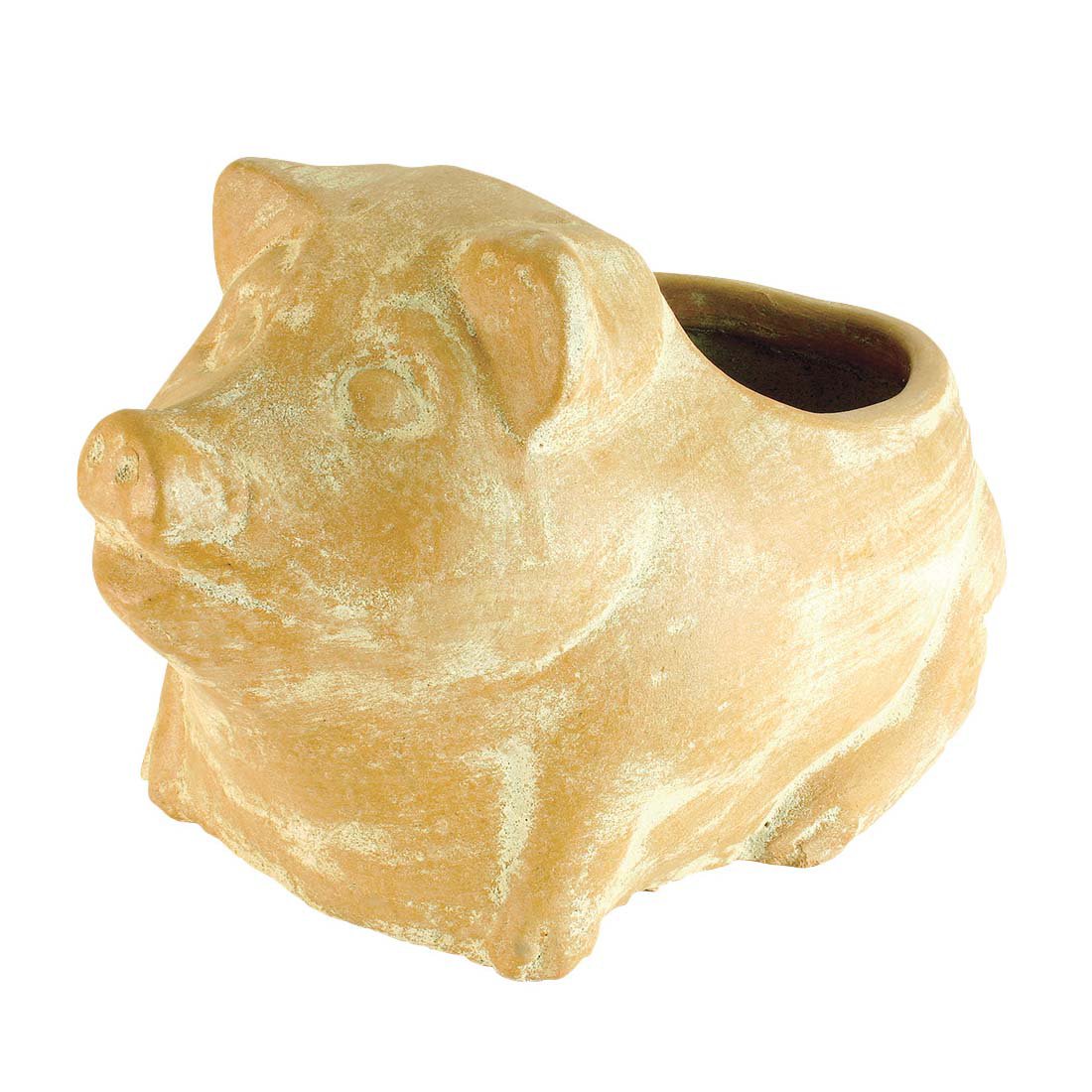 PR Imports Sand Pig Planter - Shop Pots & planters at H-E-B