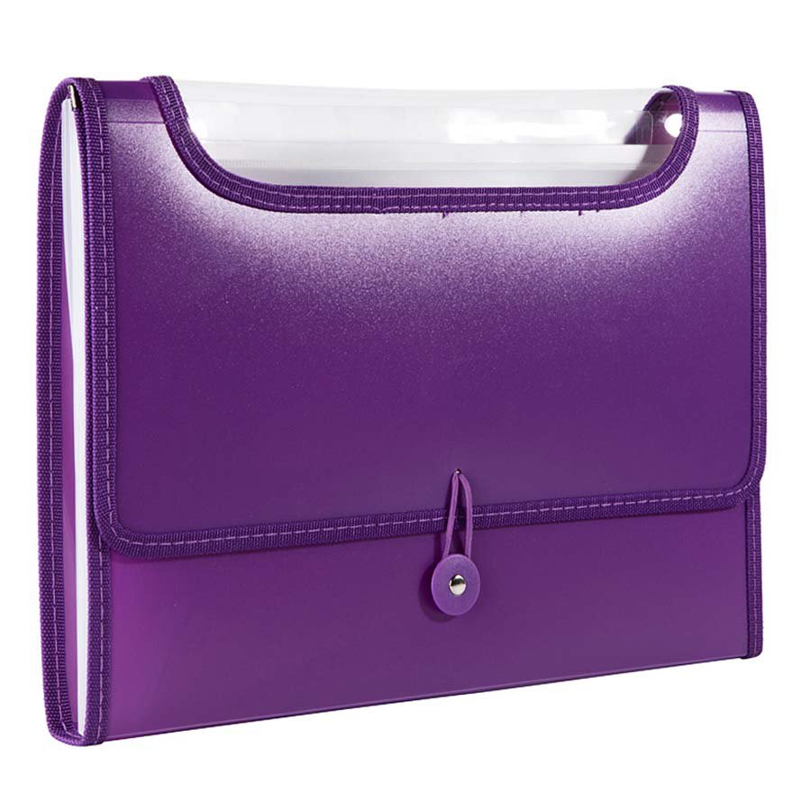 Filexec Products 12 Tab Expanding Poly File Organizer - Radiant Purple ...