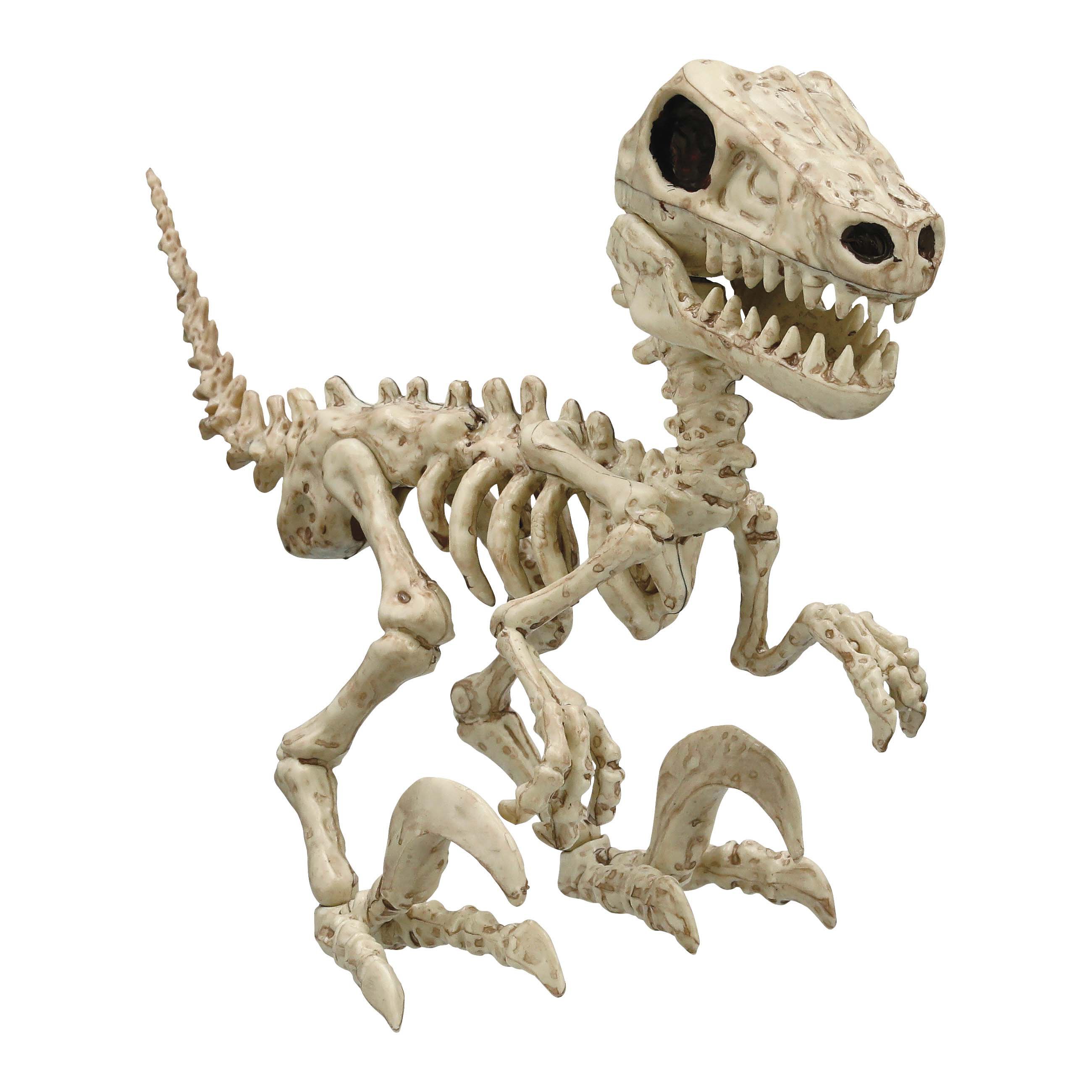 Seasons Raptor Skeleton Halloween Decor - Shop Seasonal decor at H-E-B