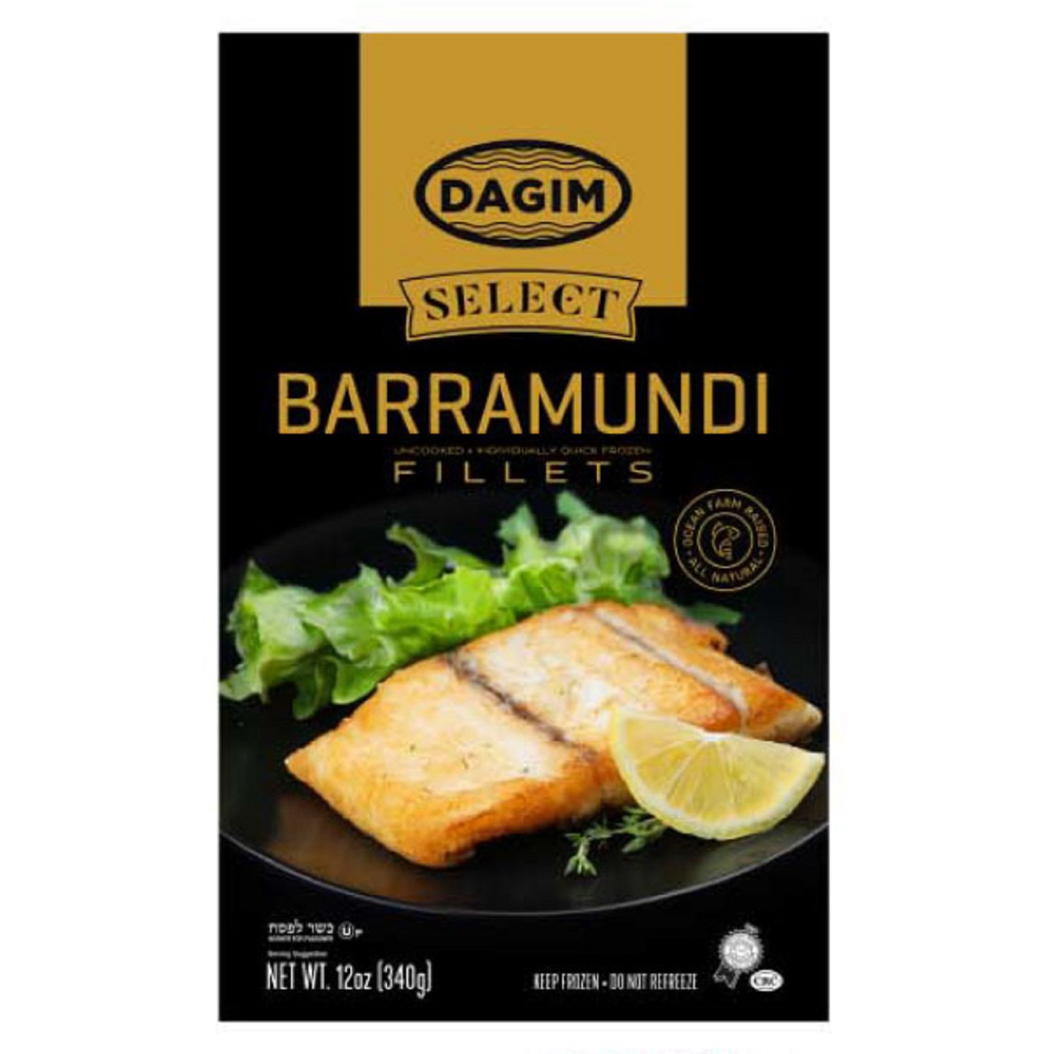 Dagim Barramundi Fish Fillets - Shop Fish at H-E-B