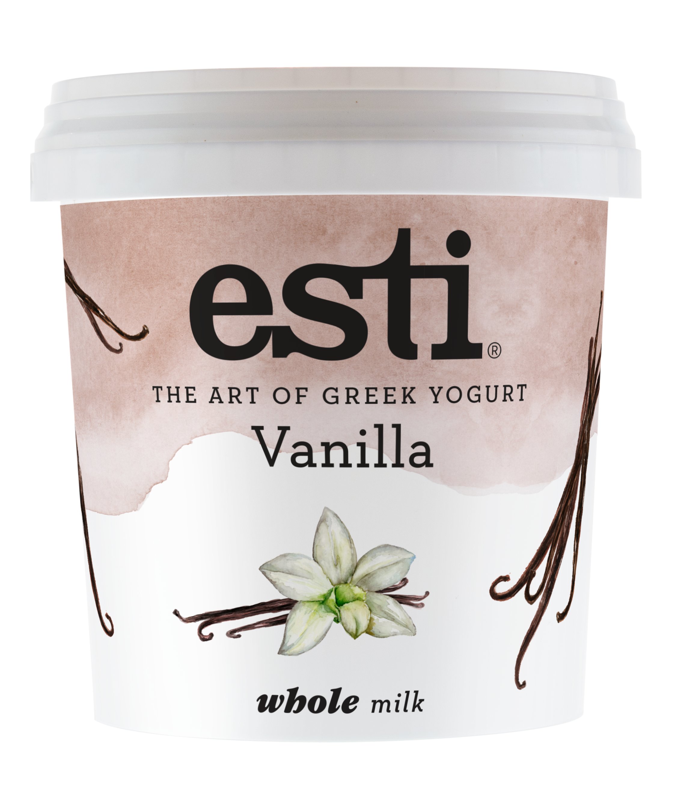 Esti Vanilla Whole Milk Greek Yogurt - Shop Yogurt at H-E-B