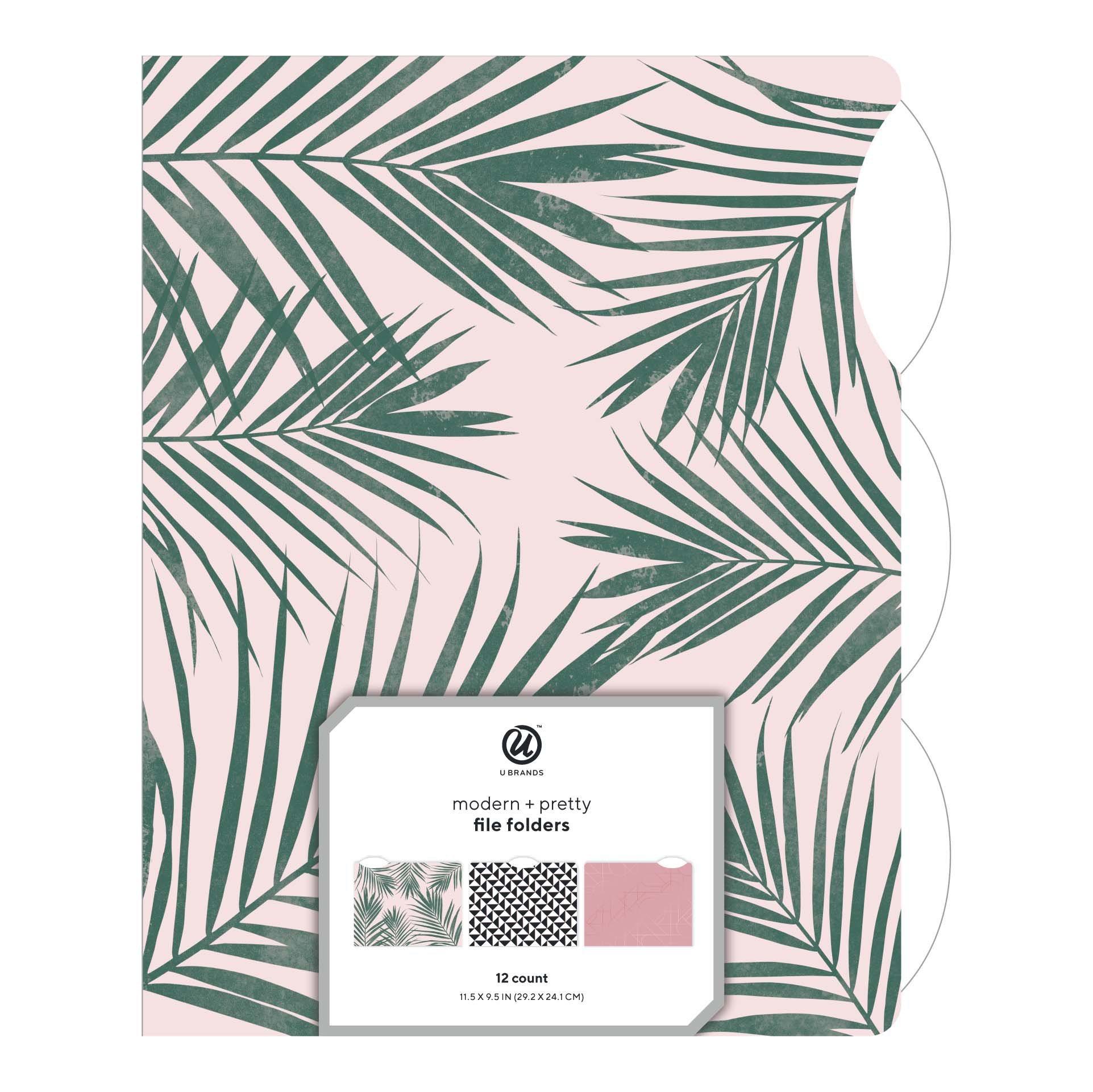 U Brands Modern Pretty Fashion File Folders - Shop School & Office ...
