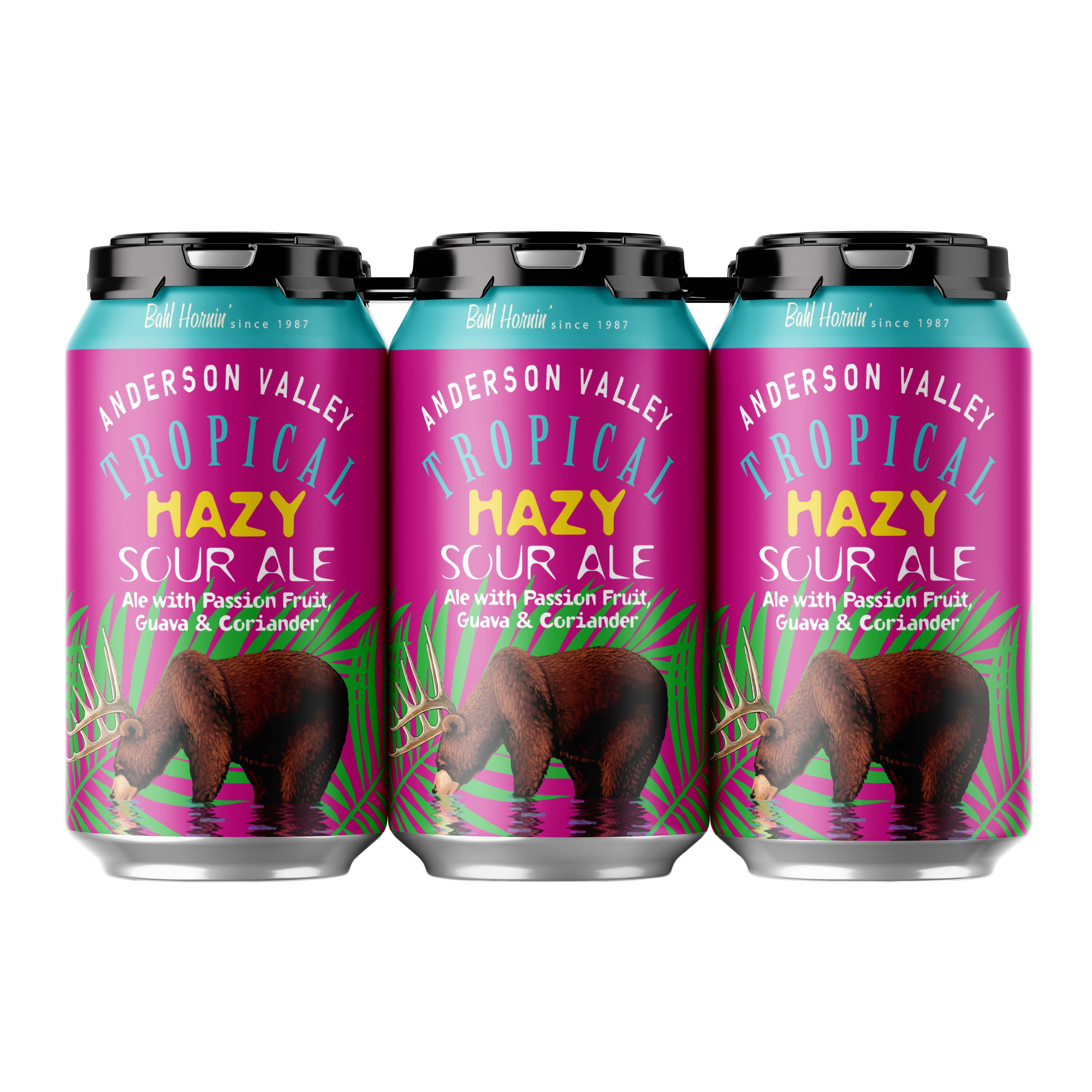 Anderson Valley Tropical Hazy Sour Ale 12 oz Cans - Shop Beer at H-E-B