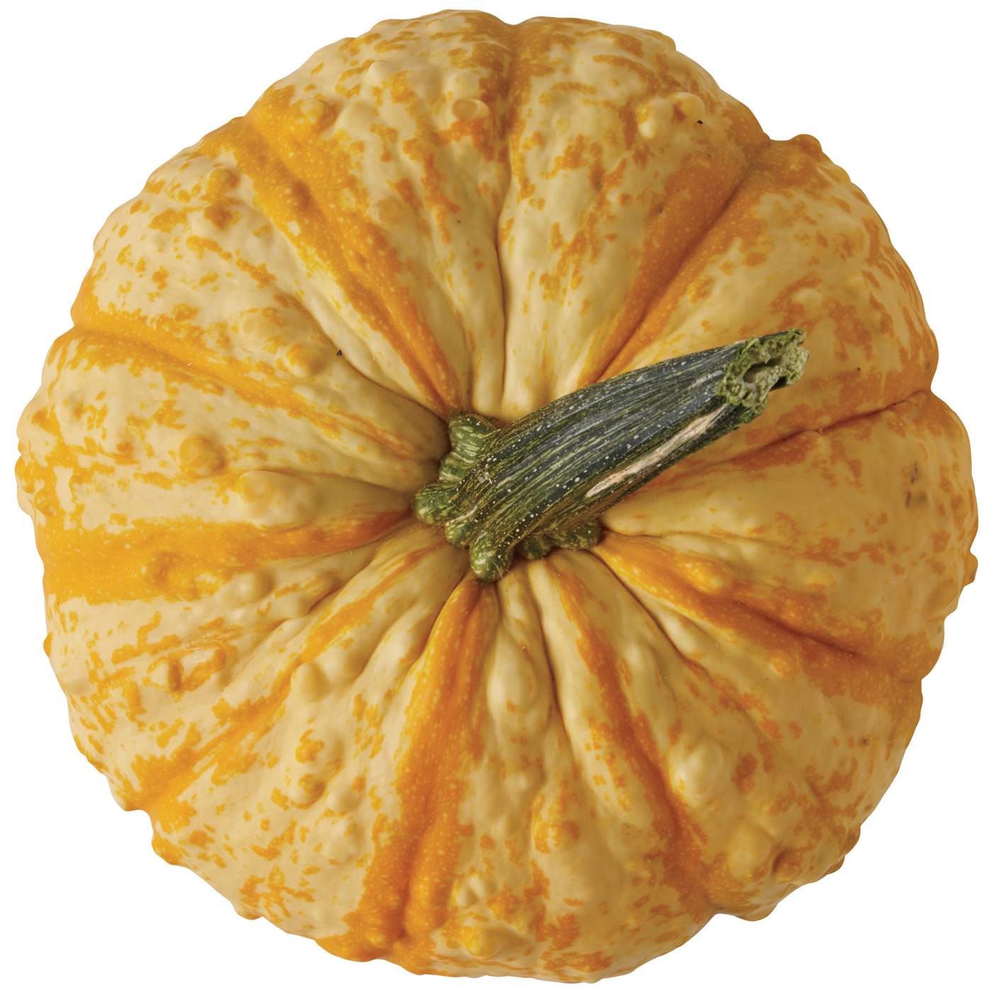 H-E-B Texas Roots Little Sprites Pumpkin - Shop Squash & pumpkins at H-E-B