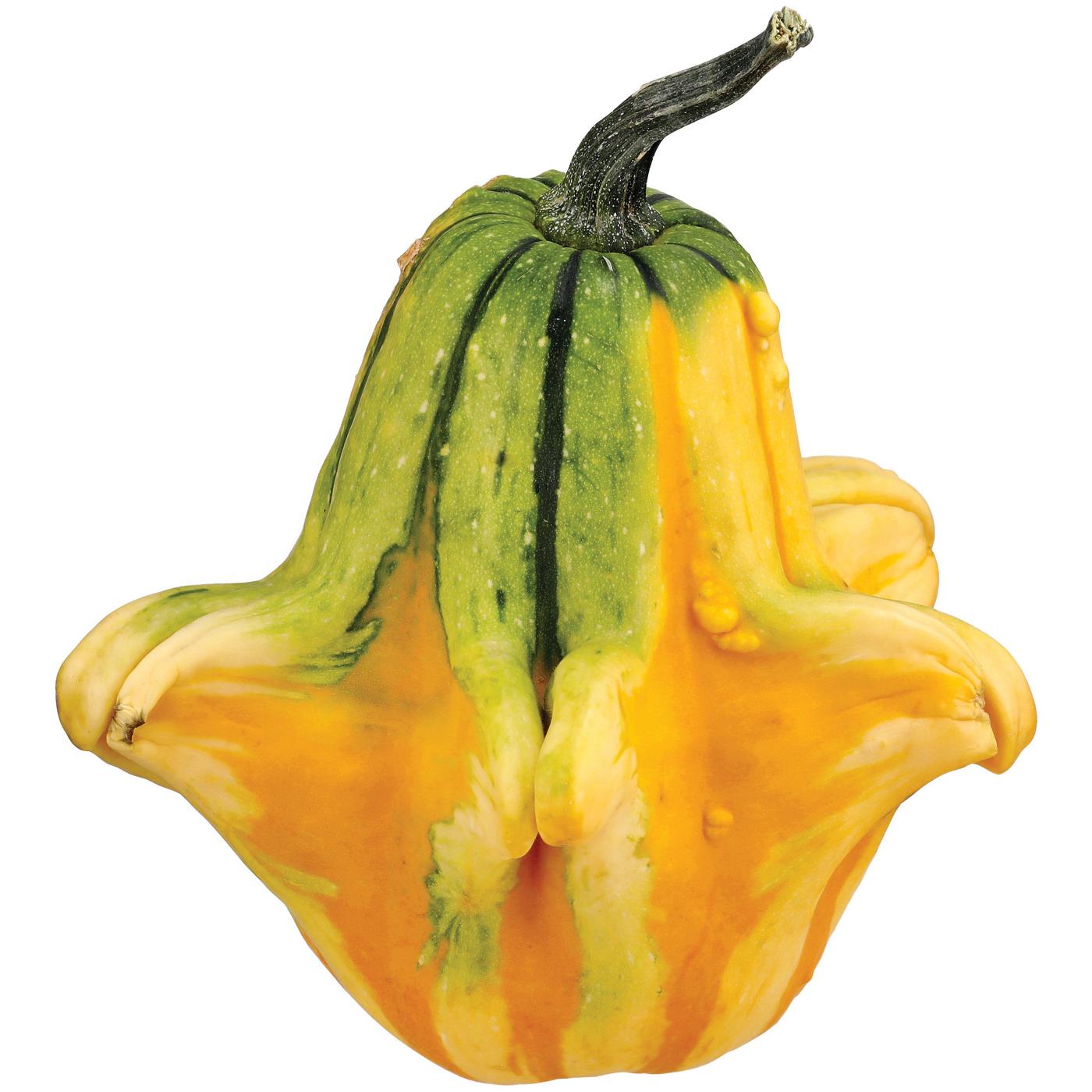 H-E-B Texas Roots Gizmo Pumpkin - Shop Squash & pumpkins at H-E-B