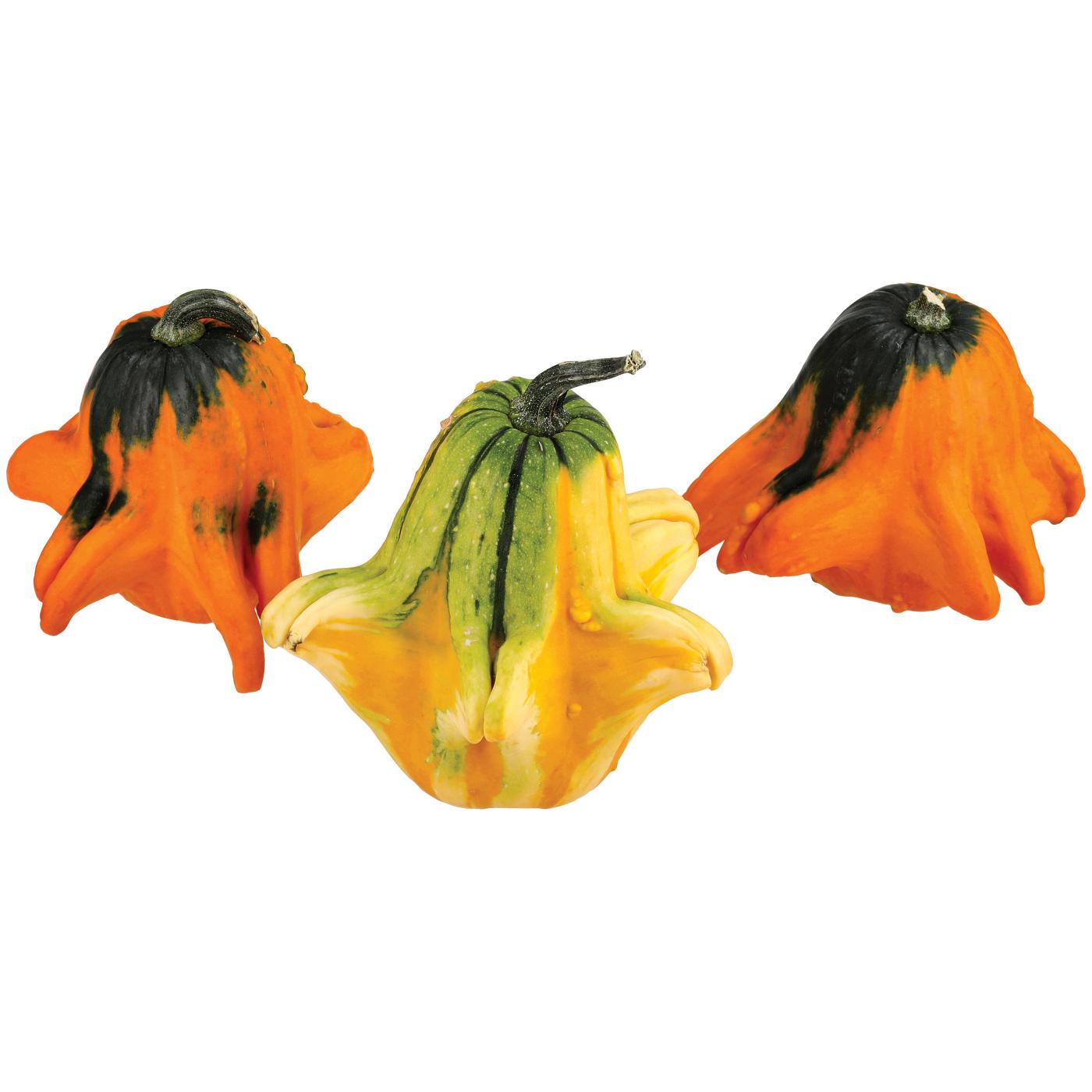 H-E-B Texas Roots Gizmo Pumpkin - Shop Squash & pumpkins at H-E-B