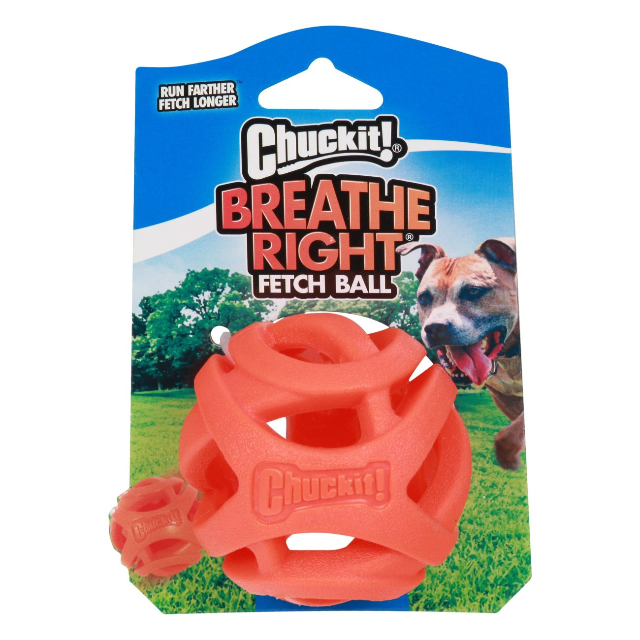 Chuckit! Breathe Right Fetch Ball - Shop Balls & Fetch Toys at H-E-B