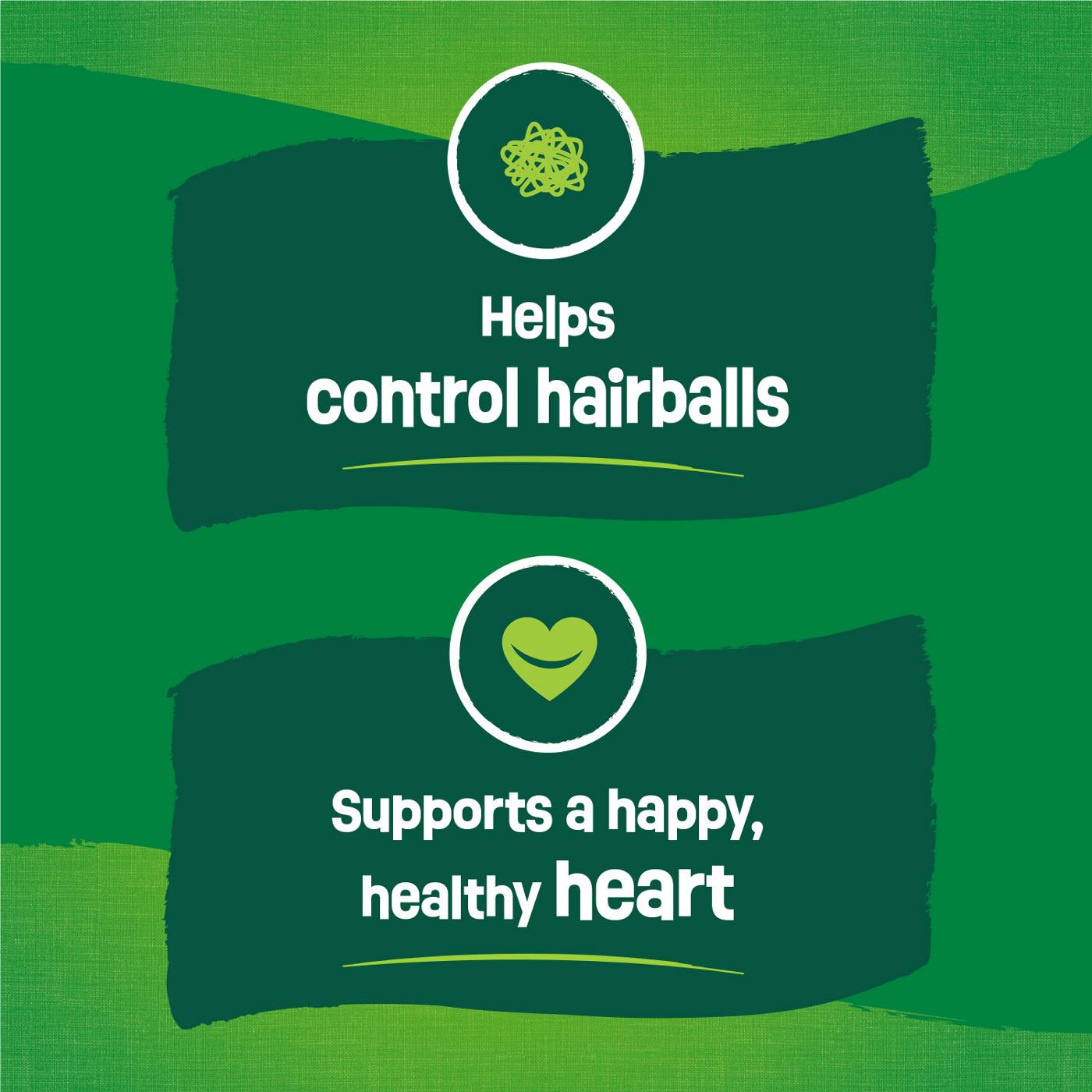 Friskies Purina Dry Cat Food Indoor Delights - Flavors of Chicken ...