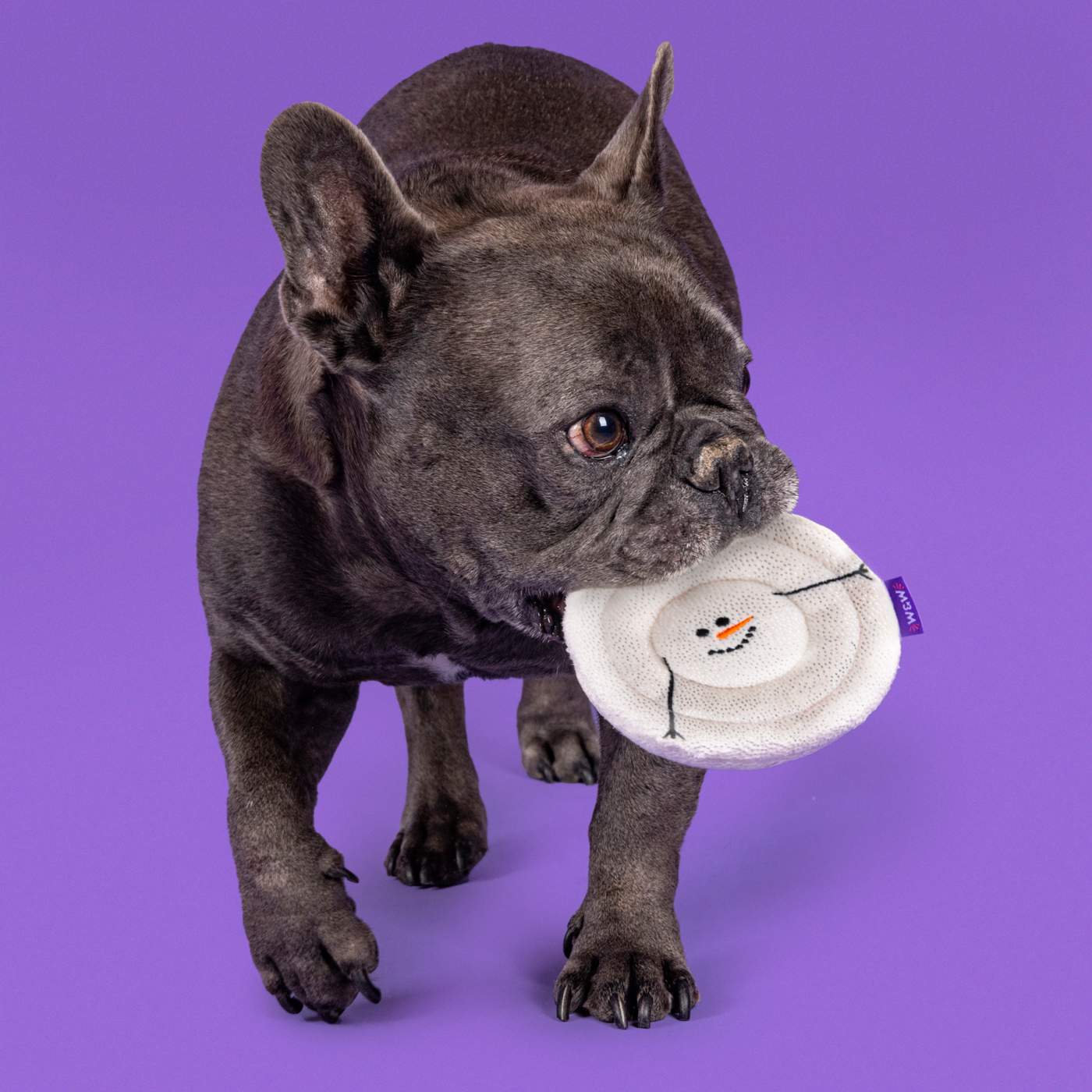 Woof & Whiskers Snowman Melted Dog Toy - Shop Plush toys at H-E-B