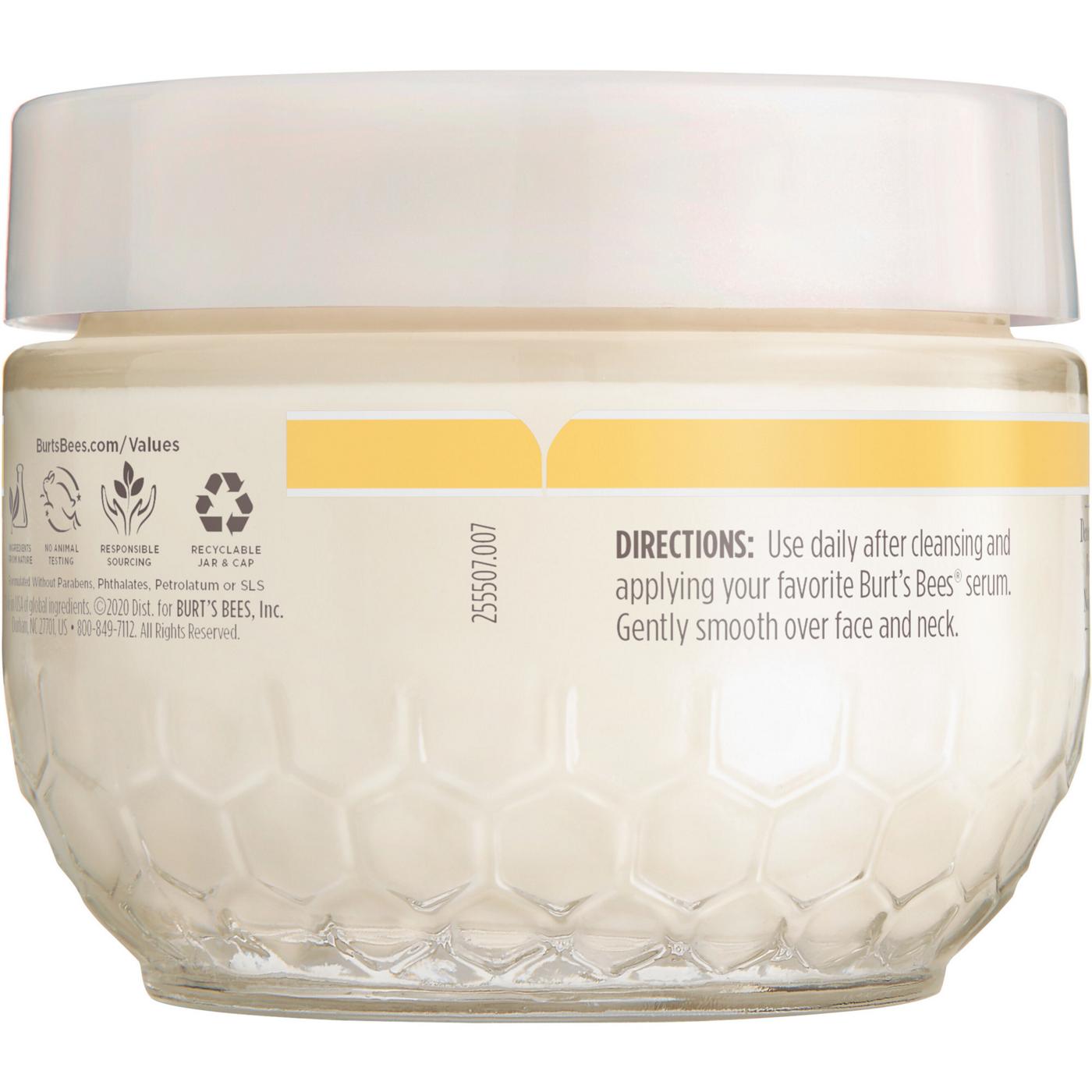 Burt's Bees Renewal Firming Moisturizing Cream - Fragrance Free - Shop ...