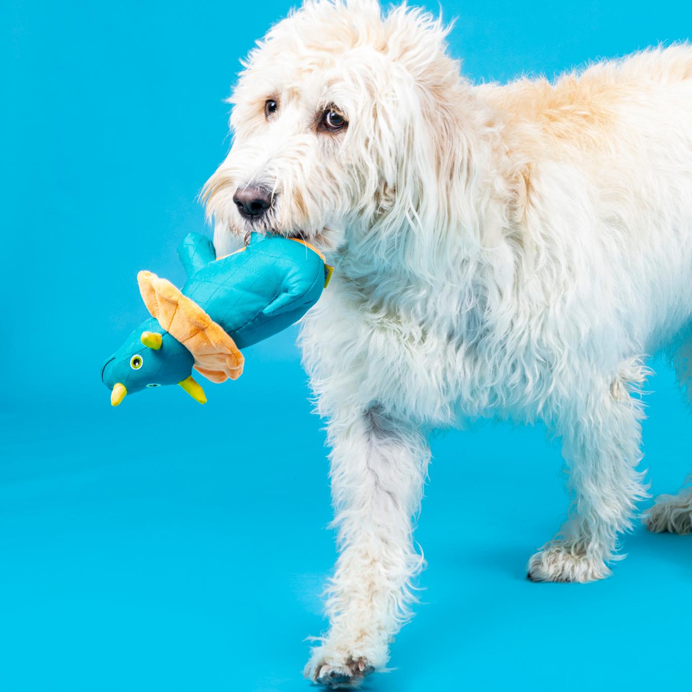 Woof & Whiskers Triceratops Plush Dog Toy - Shop Plush toys at H-E-B