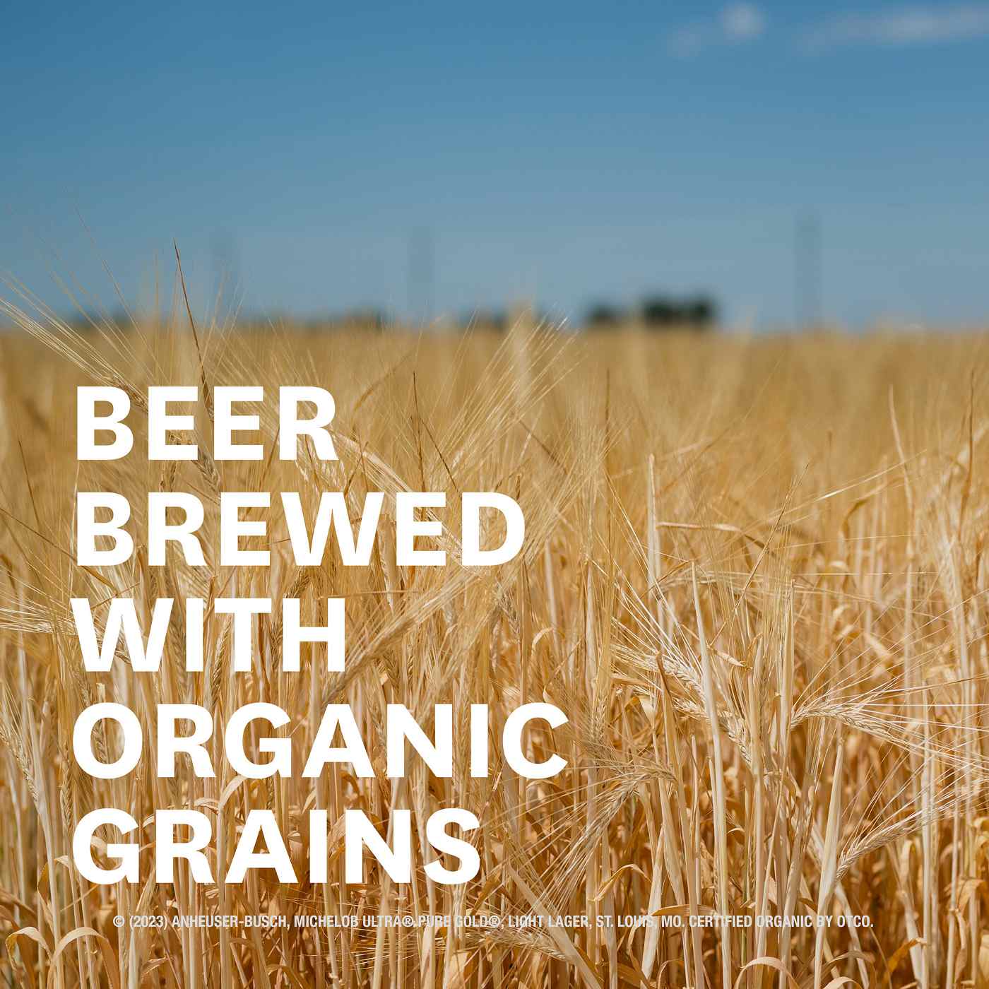 Michelob ULTRA Pure Gold Light Lager Organic Beer 18 pk Bottles - Shop ...