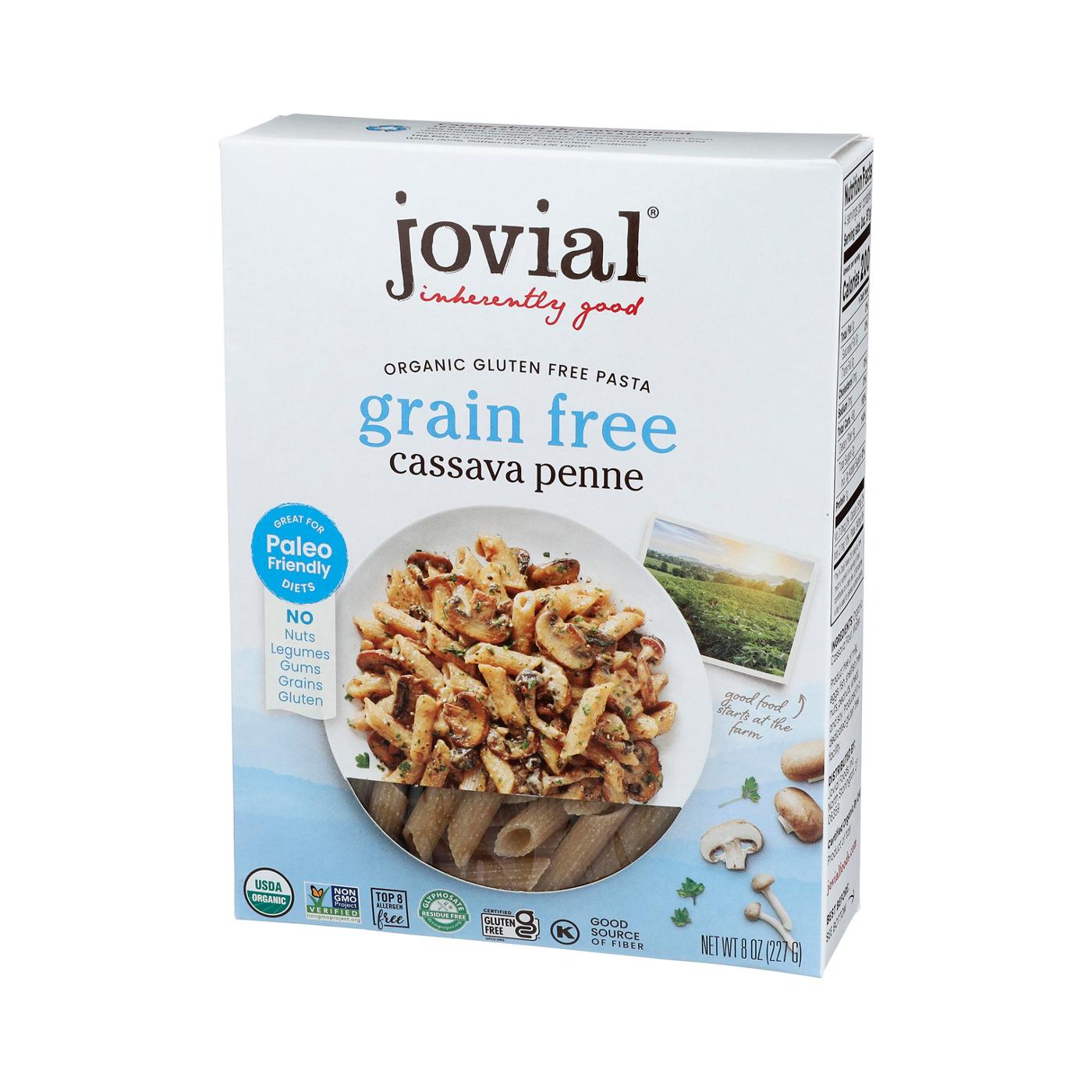 Jovial Grain Free Cassava Penne - Shop Pasta at H-E-B