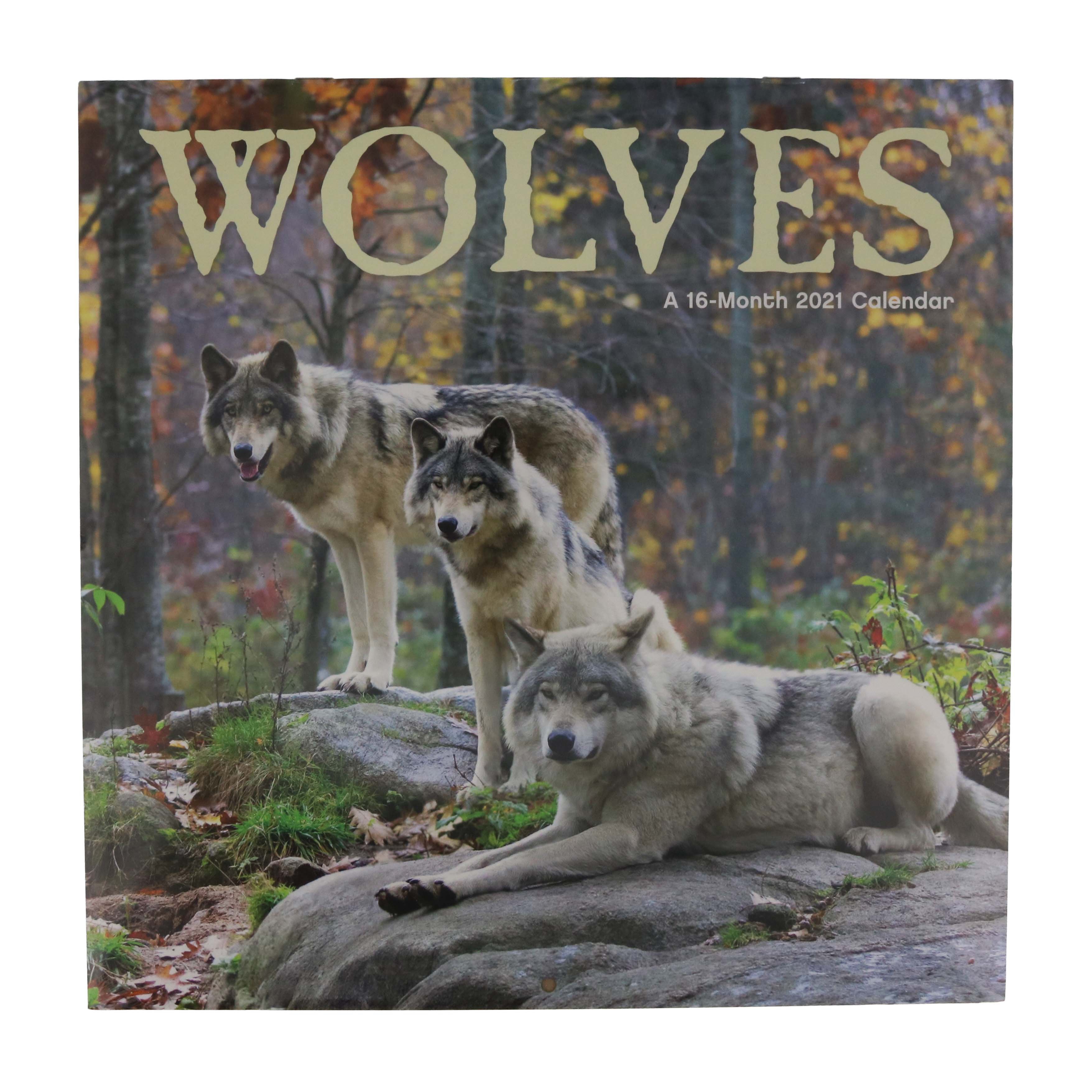 Trends International Wolves 2021 Wall Calendar - Shop Planners ...