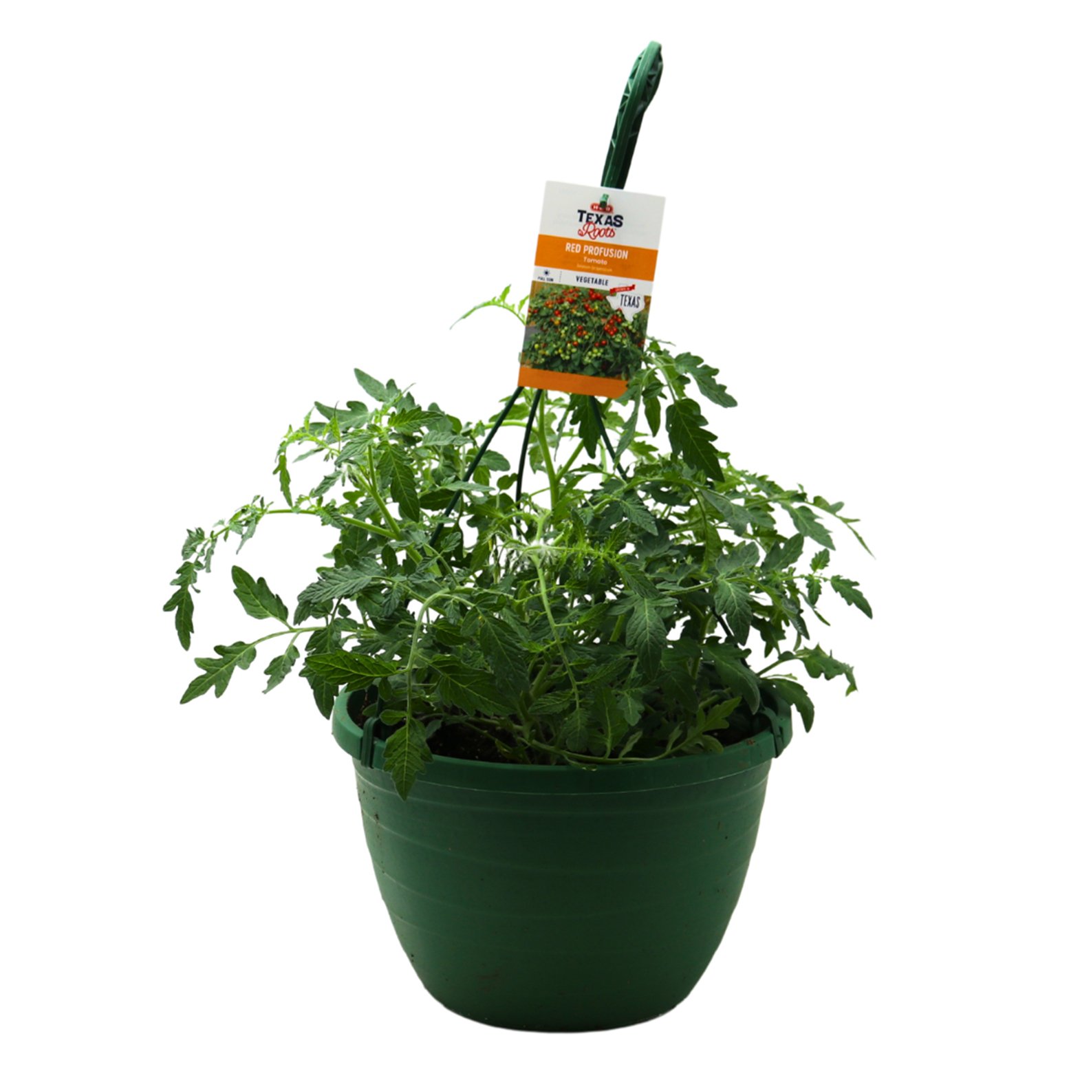 H-E-B Texas Roots Red Profusion Tomato Hanging Basket - Shop Potted ...