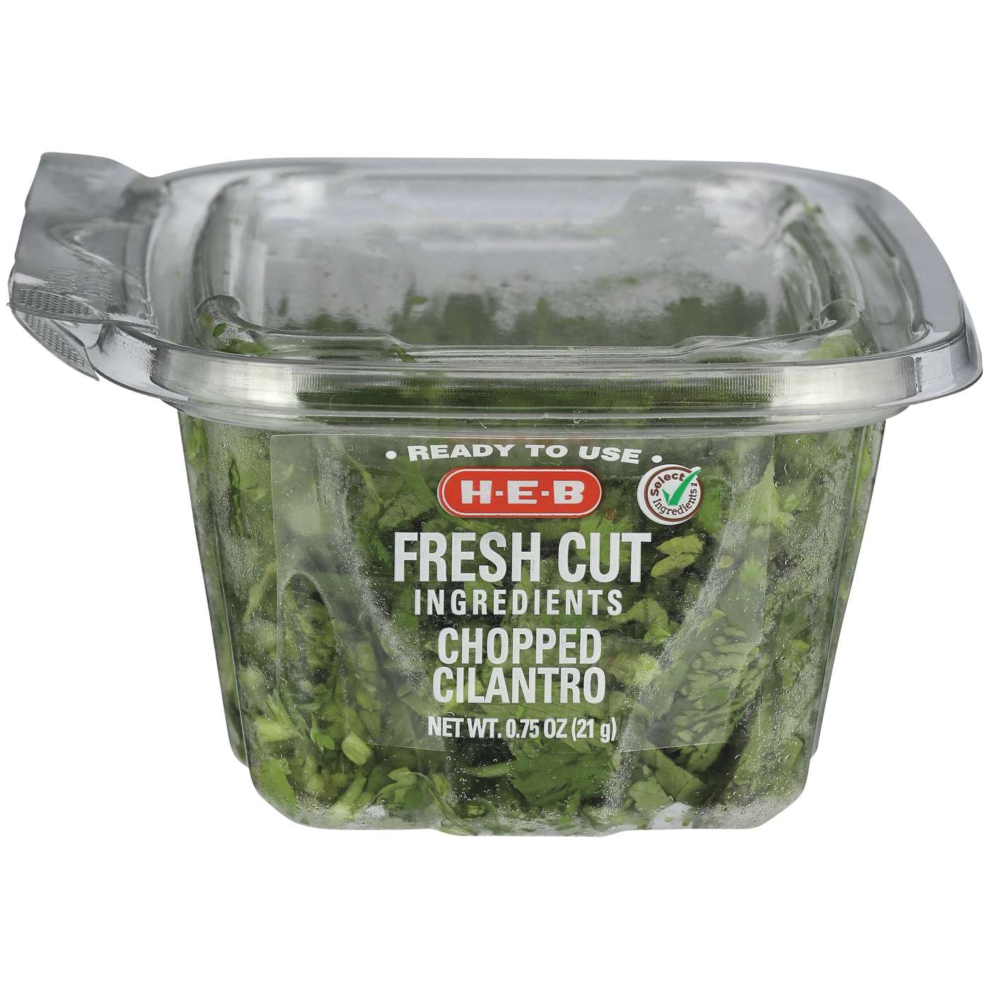 H-E-B Fresh Chopped Cilantro - Single Serve - Shop Herbs at H-E-B