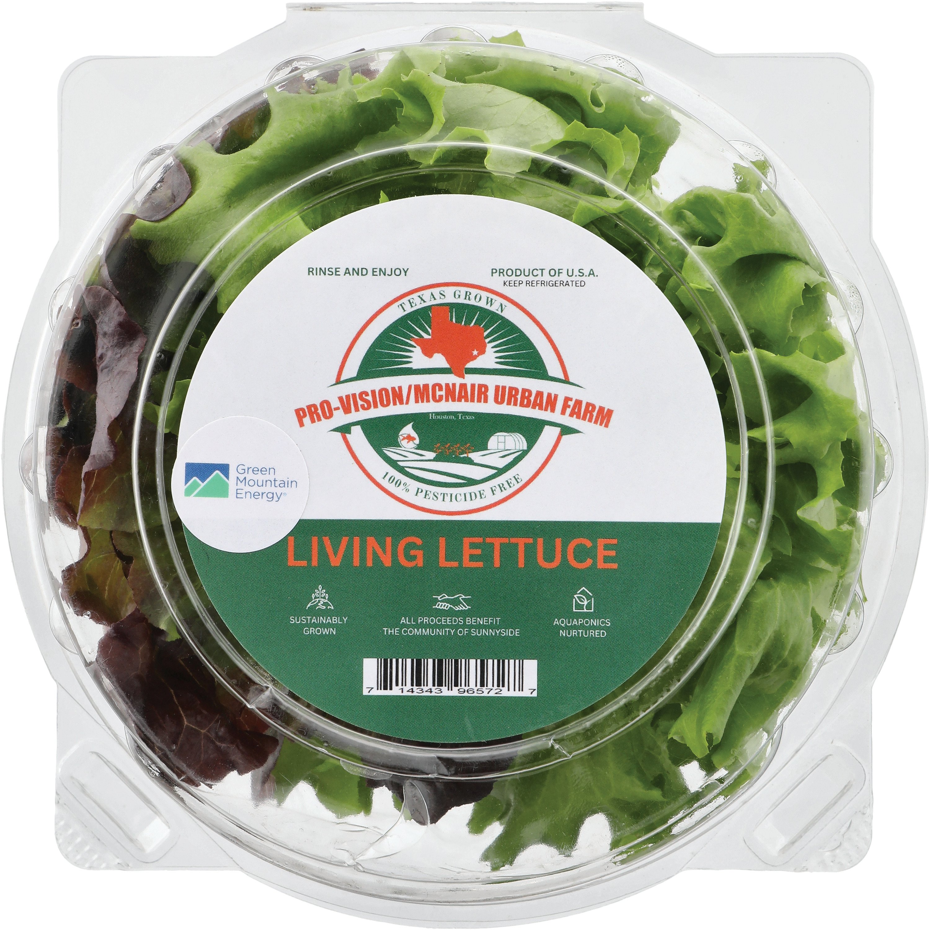 Fresh Living Lettuce Combo - Shop Lettuce & leafy greens at H-E-B