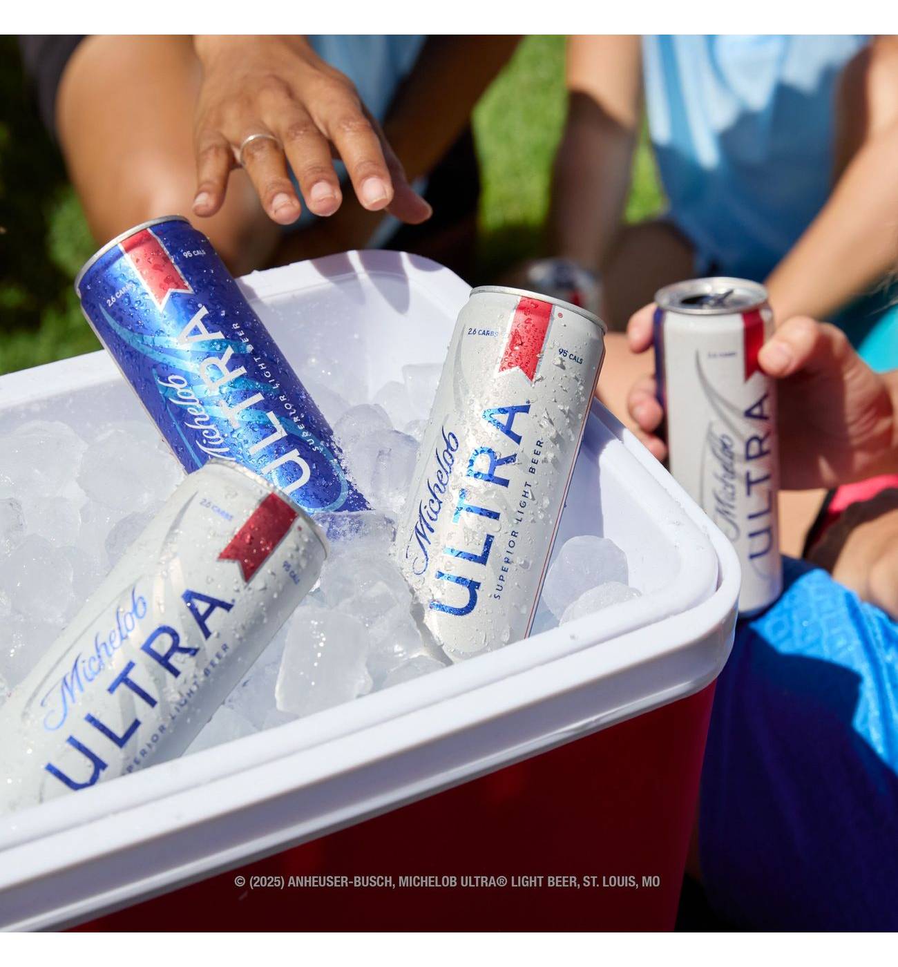 Michelob ULTRA Superior Light American Lager Beer 12 pk Cans - Shop ...