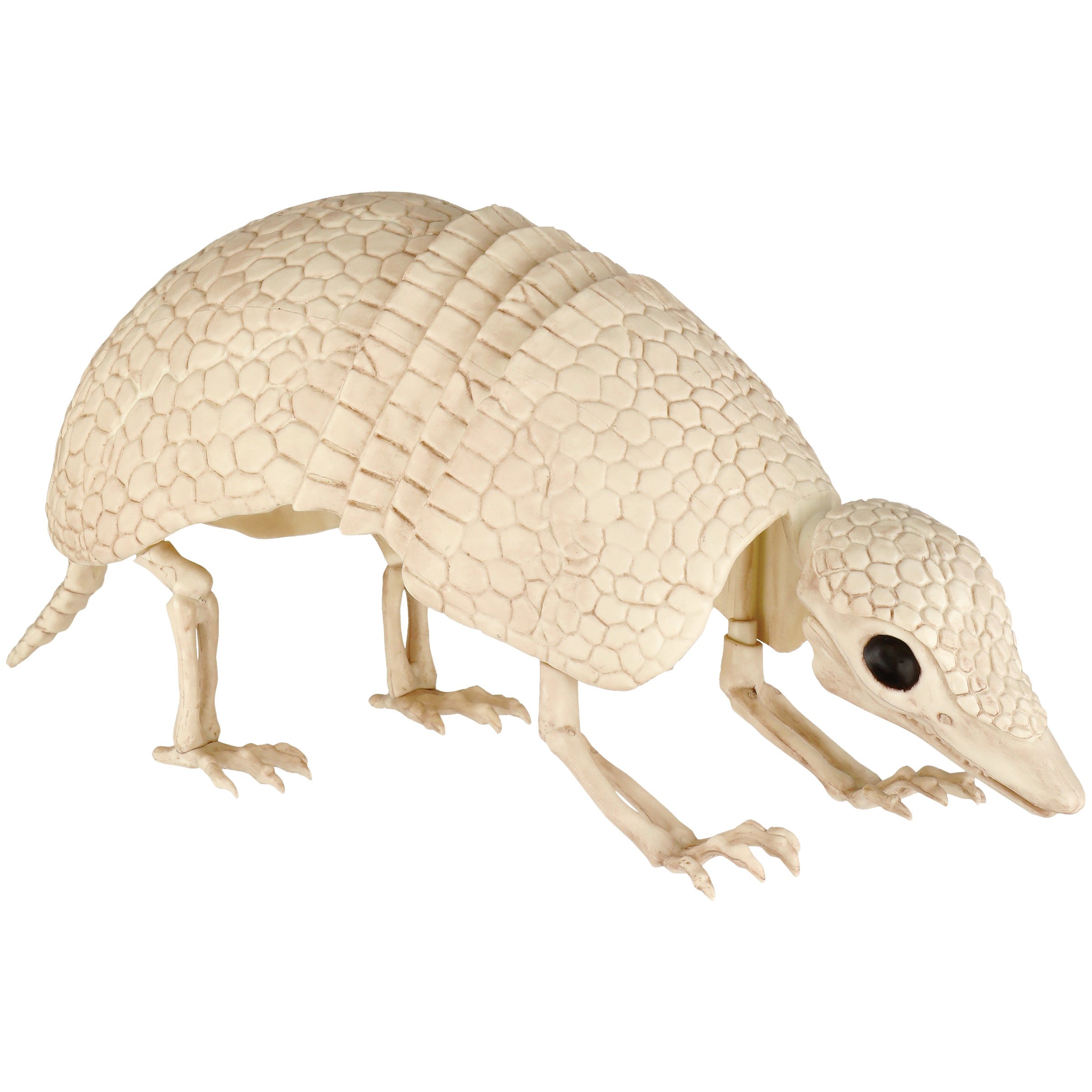 Seasons Armadillo Skeleton Halloween Decor - Shop Seasonal decor at H-E-B