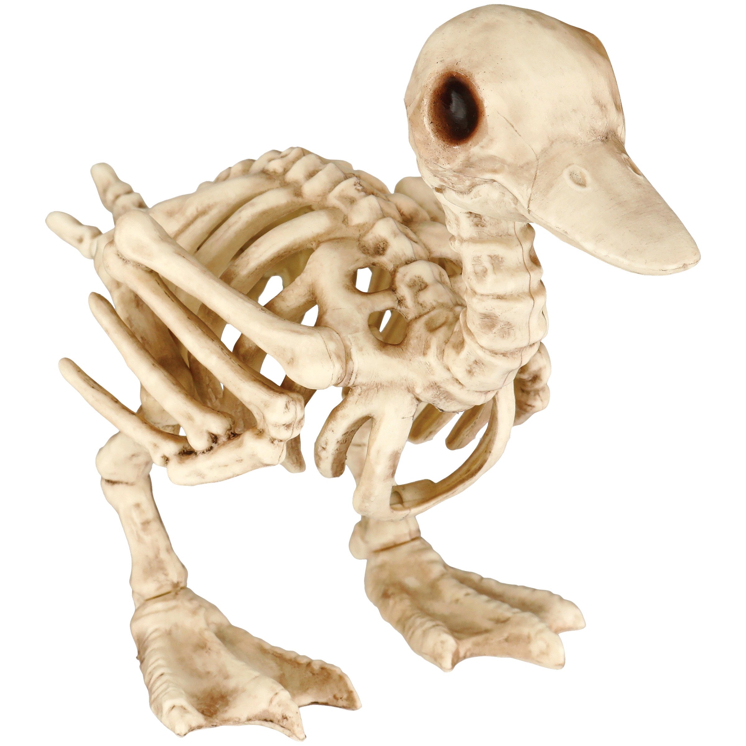 Seasons Duck Skeleton Halloween Decor - Shop Seasonal Decor at H-E-B
