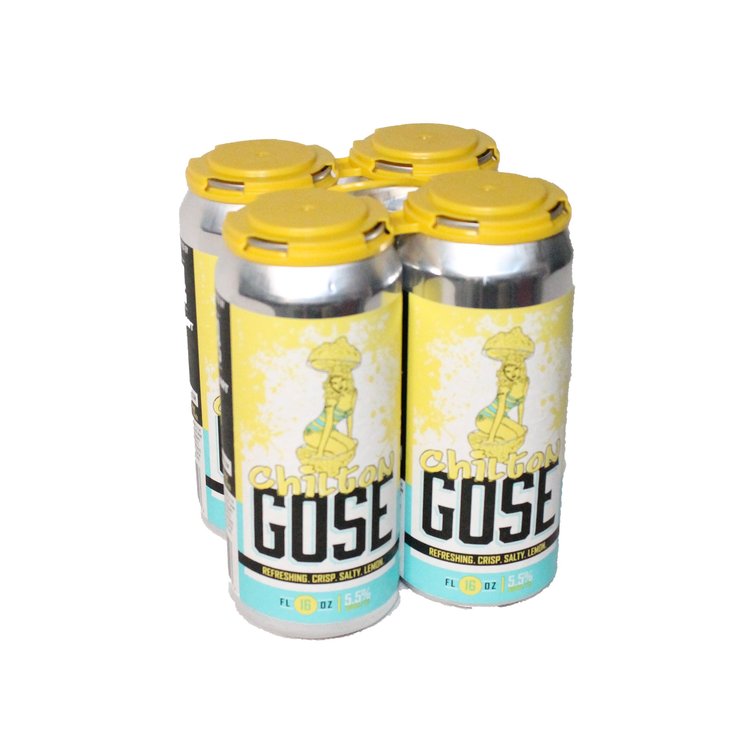 Two Docs Brewing Co Chilton Gose Beer 16 oz Cans - Shop Beer at H-E-B