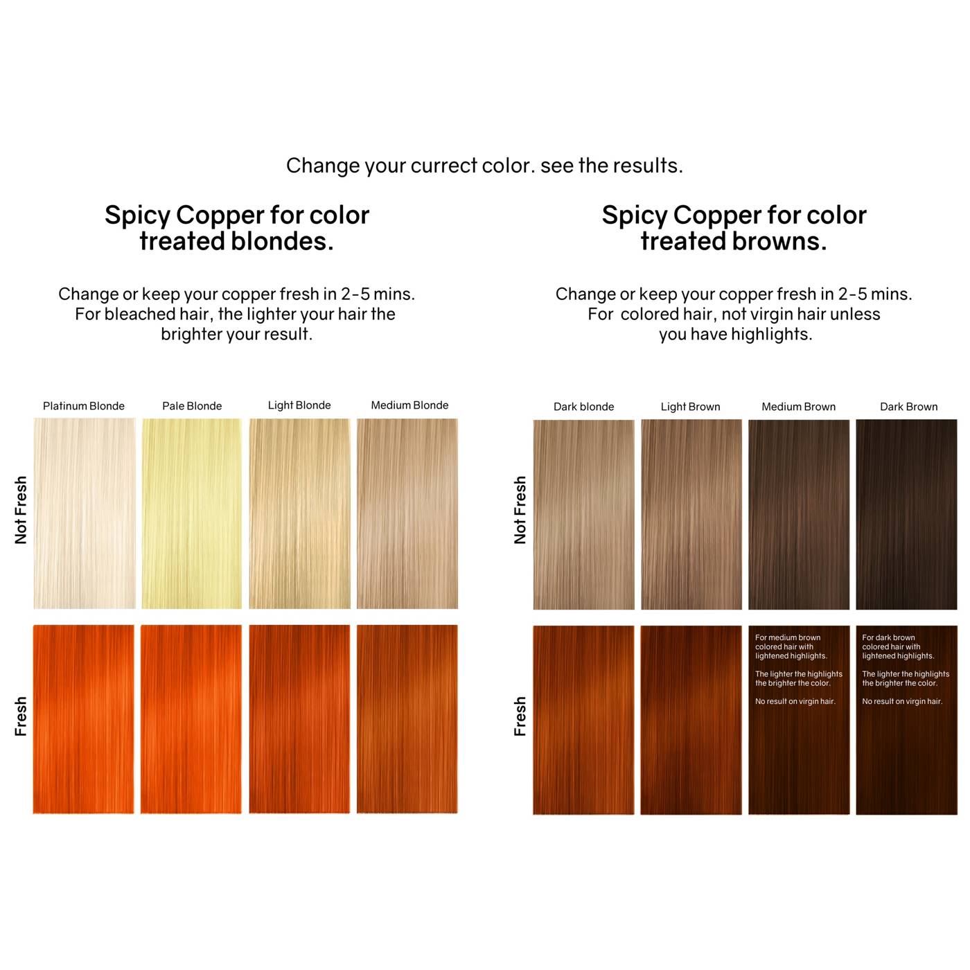 No Fade Fresh Color Depositing Shampoo Spicy Copper - Shop Hair Color ...