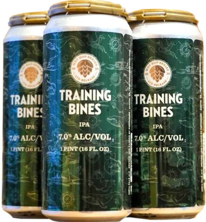 Pinthouse Training Bines IPA Craft Beer 4 pk Cans - Shop Beer at H-E-B