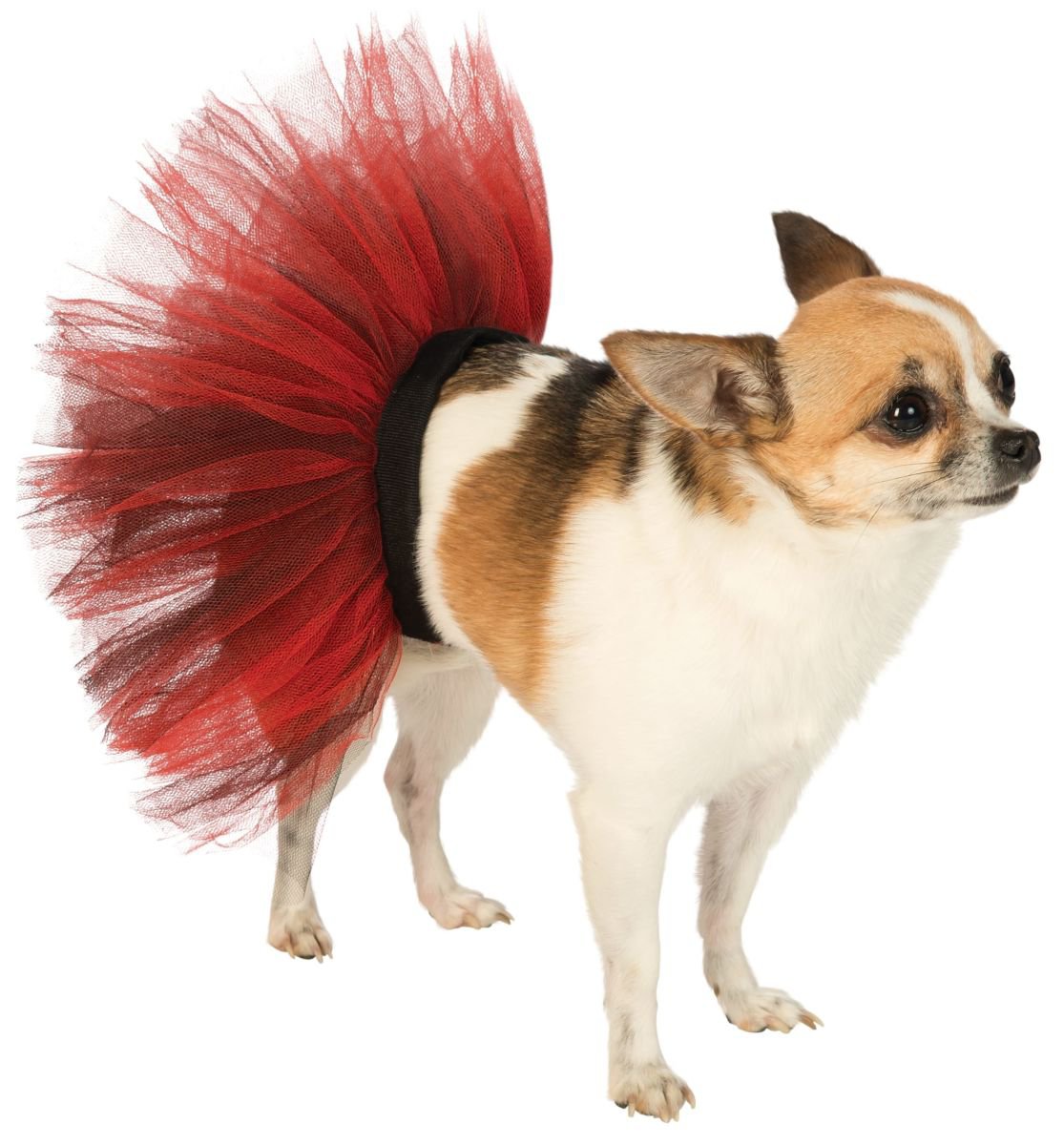 Rubie's Costume Red & Black Pet Tutu - M/L - Shop Clothes at H-E-B