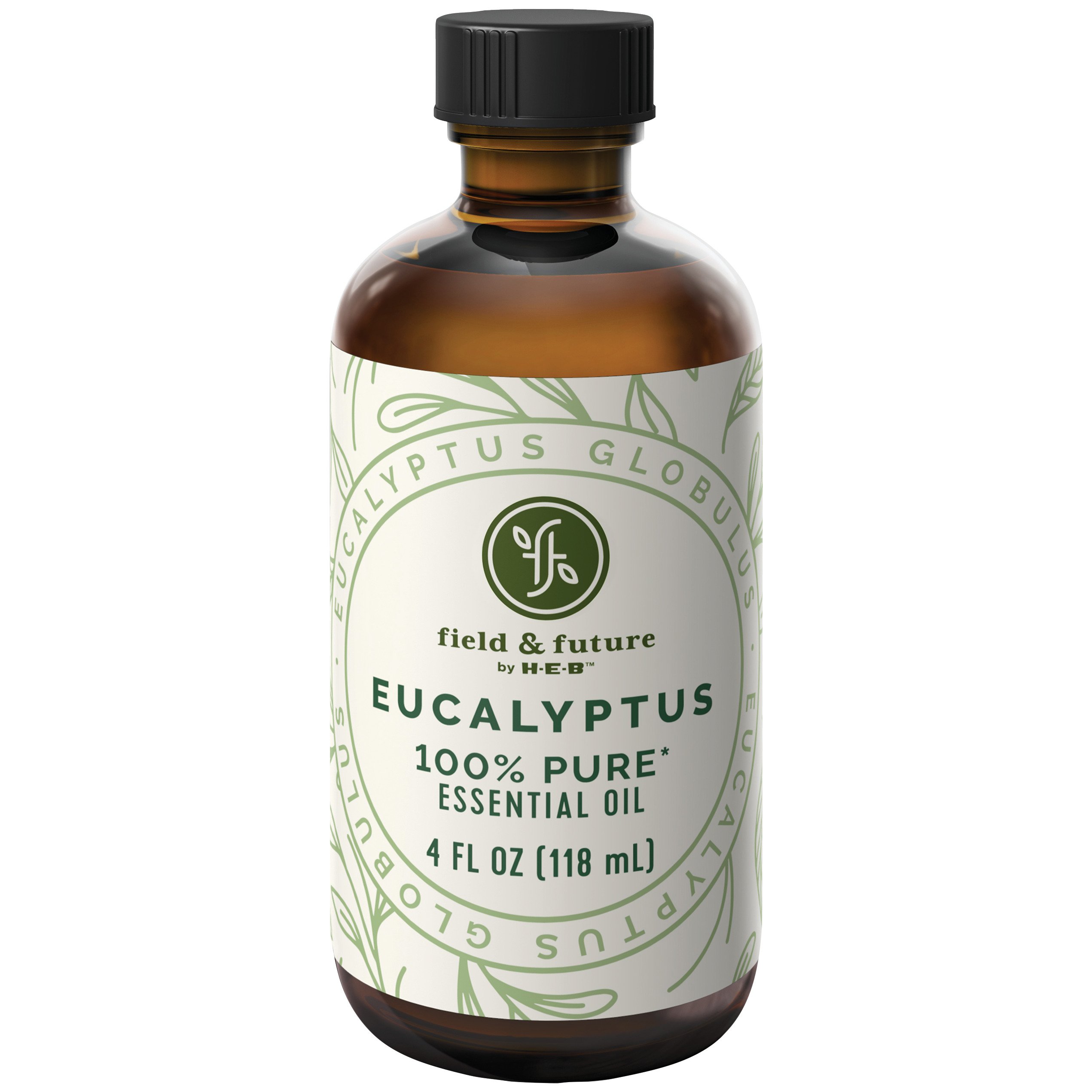 Field & Future by H-E-B Eucalyptus Essential Oil - Shop Essential oils ...