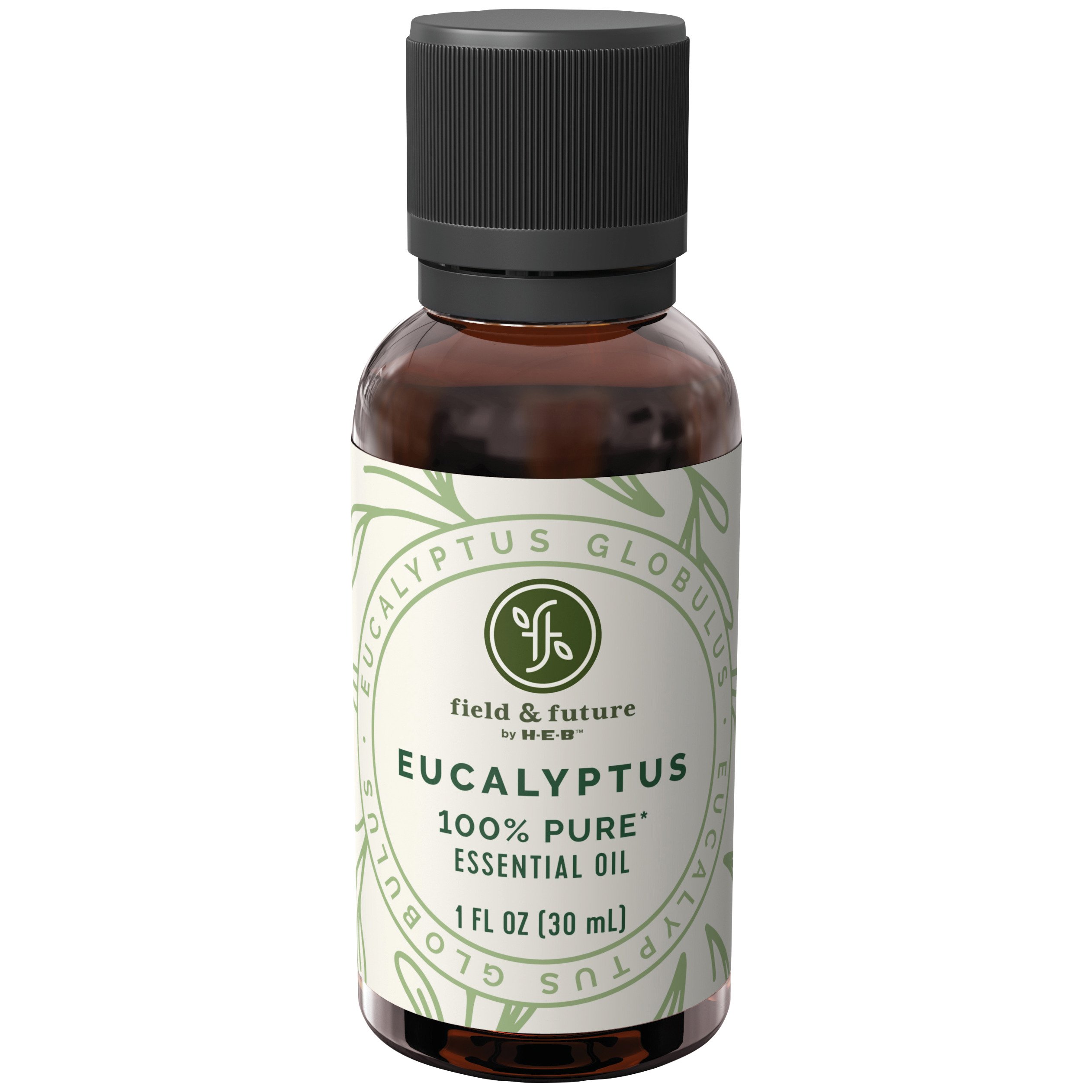 Field & Future by H-E-B Eucalyptus Essential Oil - Shop Essential oils ...