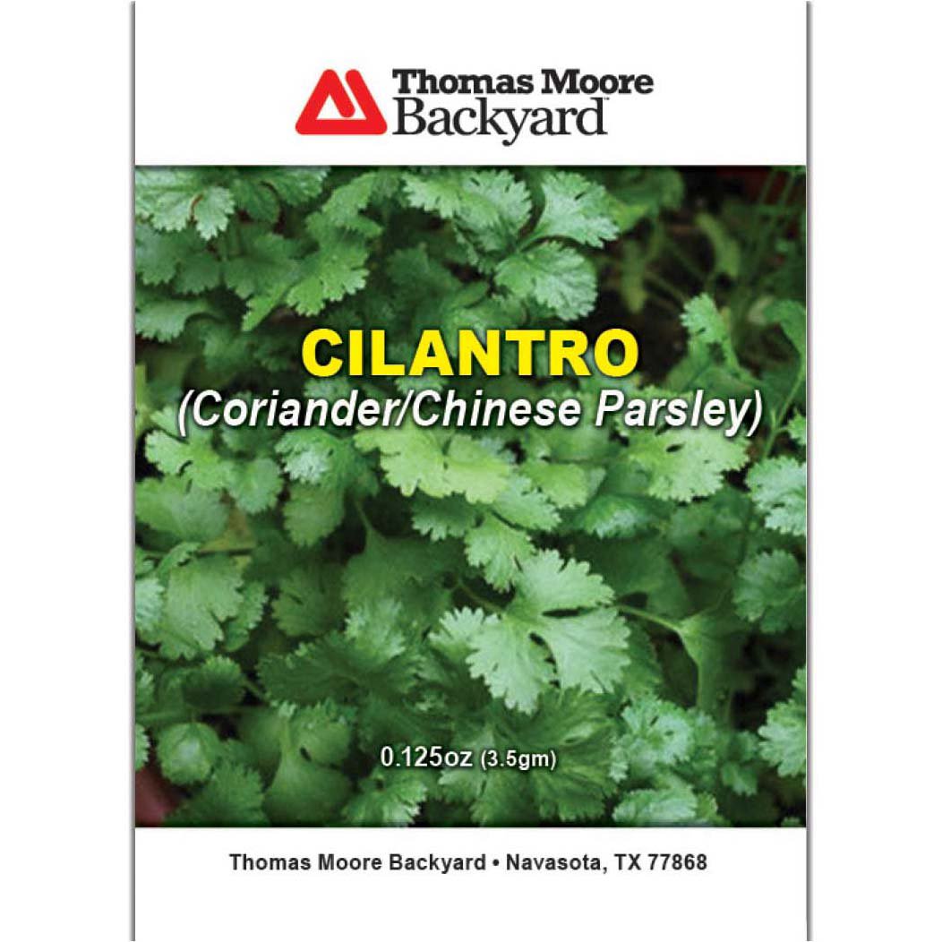 Thomas Moore Backyard Coriander Cilantro Seed Packet - Shop Seeds at H-E-B