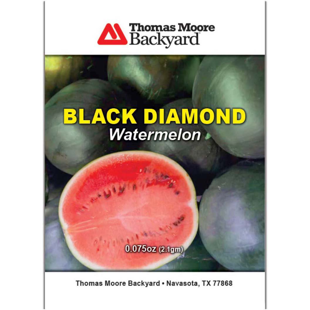 Thomas Moore Backyard Black Diamond Watermelon Seed Packet - Shop Seeds ...