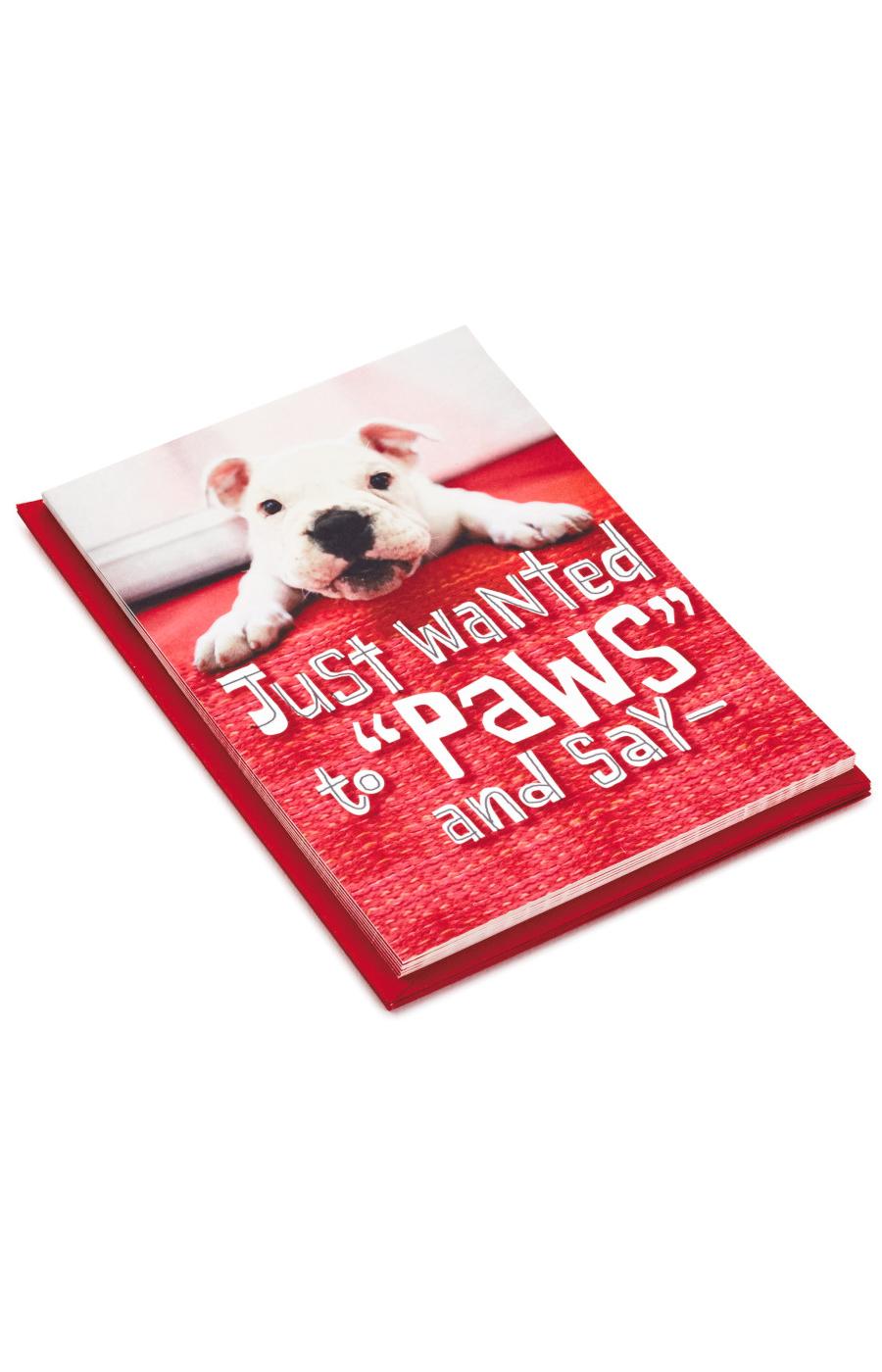 Hallmark Puppy Paws Valentine's Day Cards with Envelopes for Kids - S1 ...