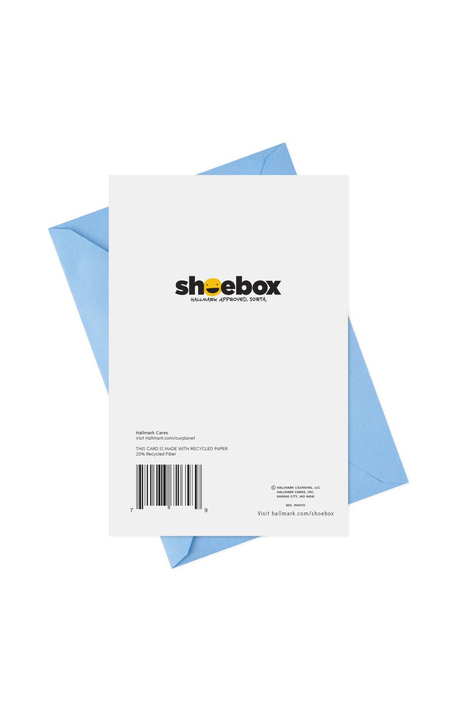 Hallmark Shoebox Dog In Car Funny Birthday Card - E20 - Shop Invites ...