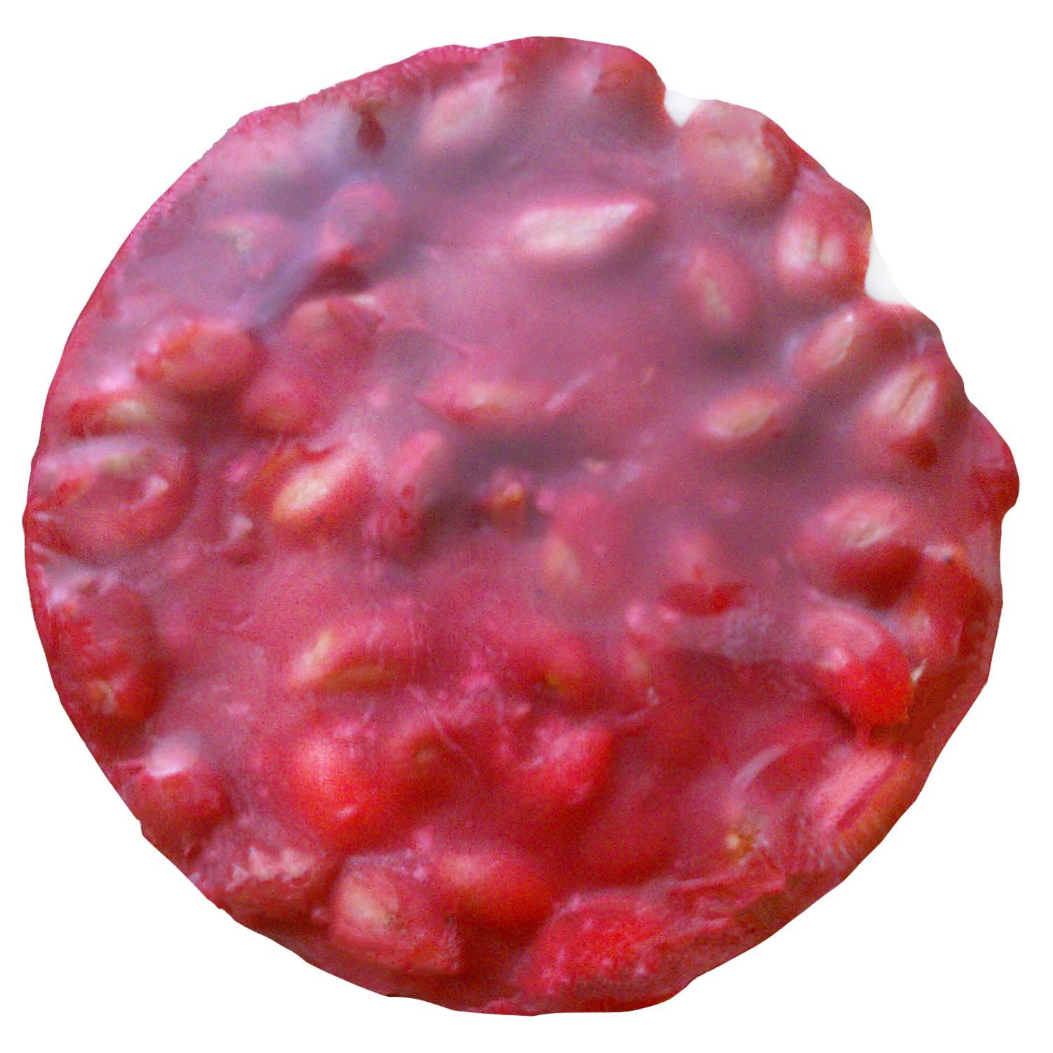 Monterrey Products Original Mexican Peanut Pattie Candy - Shop Candy at ...