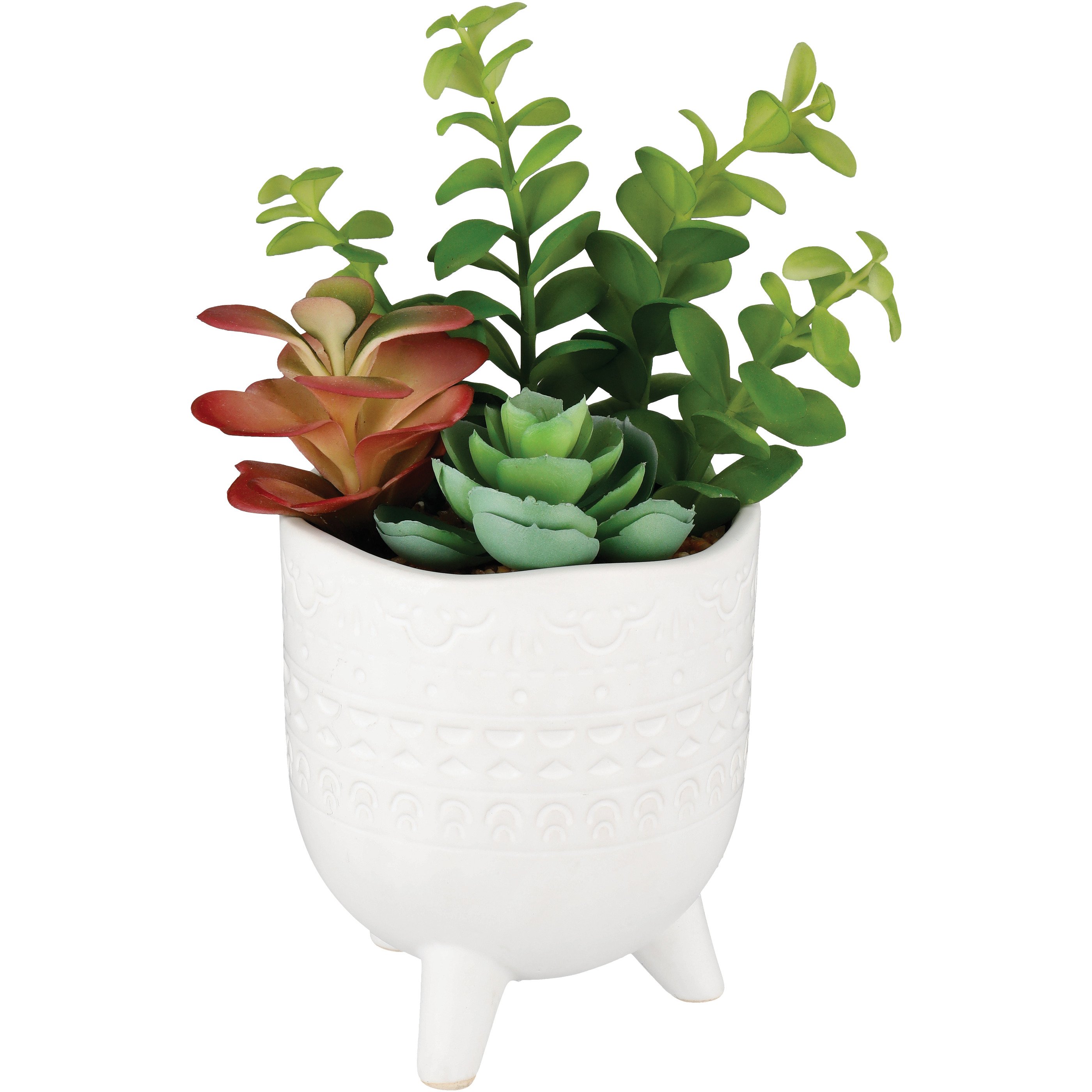 Haven + Key Faux Succulents in Footed Ceramic Pot - Shop Seasonal decor ...