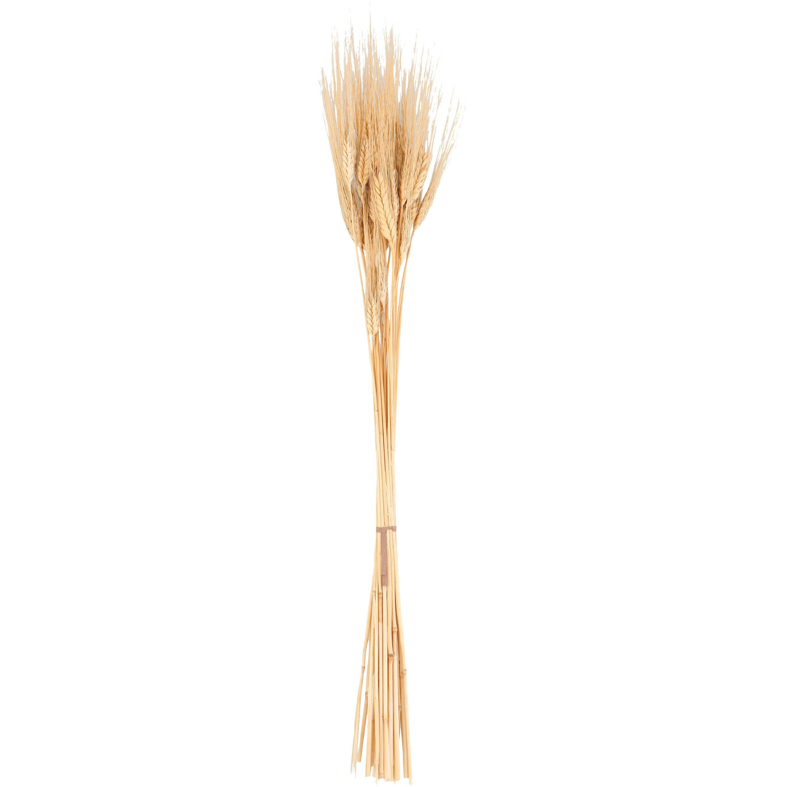Haven + Key Dried Botanical Barley Bundle - Shop Seasonal decor at H-E-B