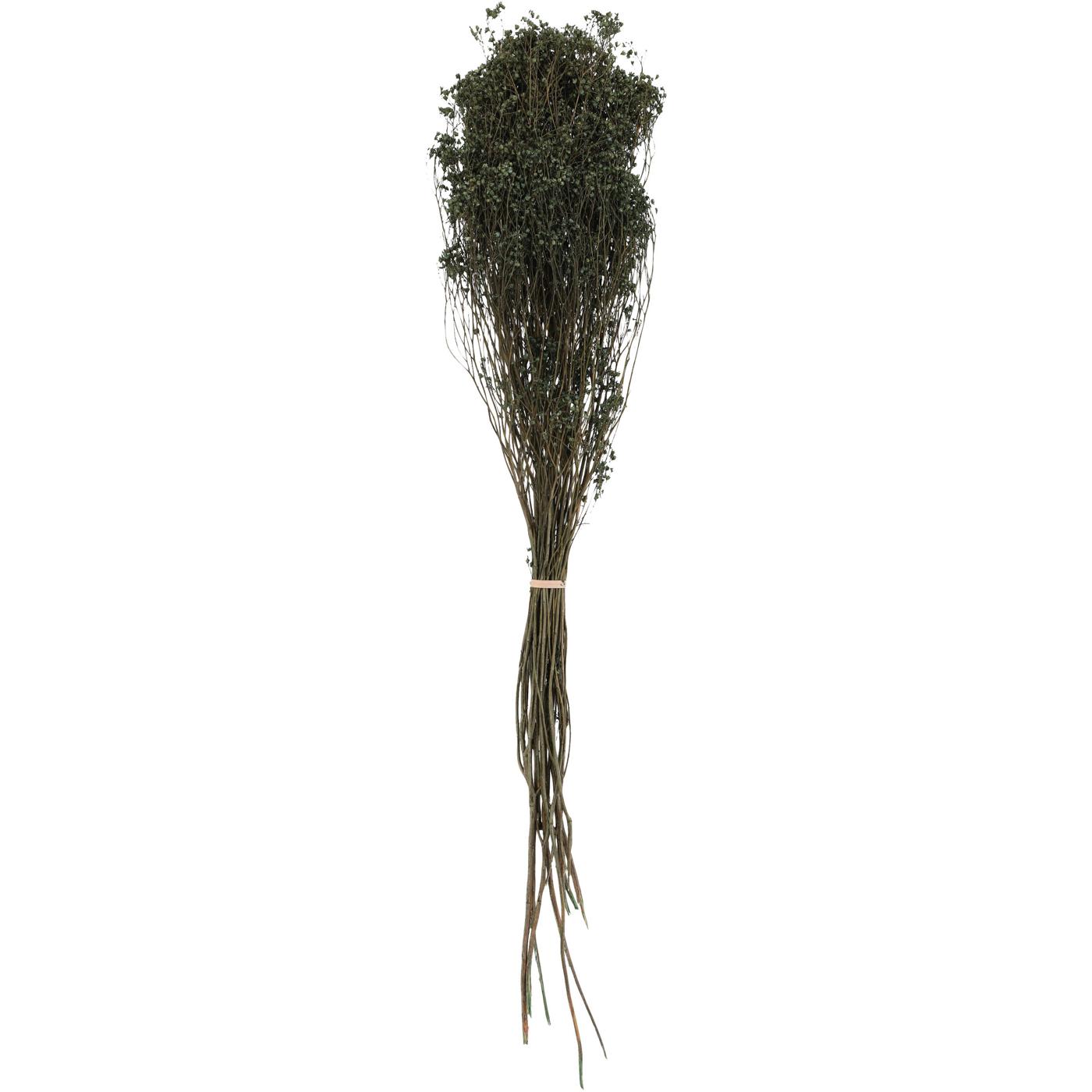 Haven + Key Dried Botanical Indigo Gypsy Grass Bundle - Shop Seasonal ...