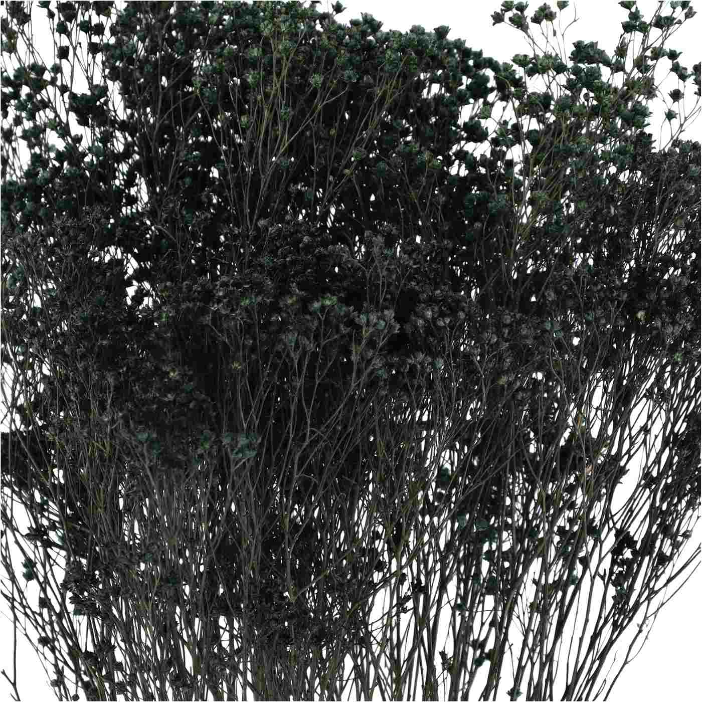 Haven + Key Dried Botanical Indigo Gypsy Grass Bundle - Shop Seasonal ...