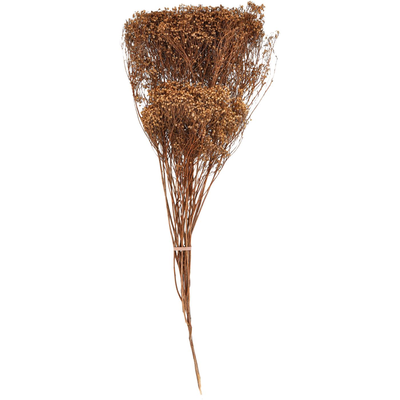 Haven + Key Botanical Dried Gypsy Grass Bundle - Shop Seasonal decor at ...