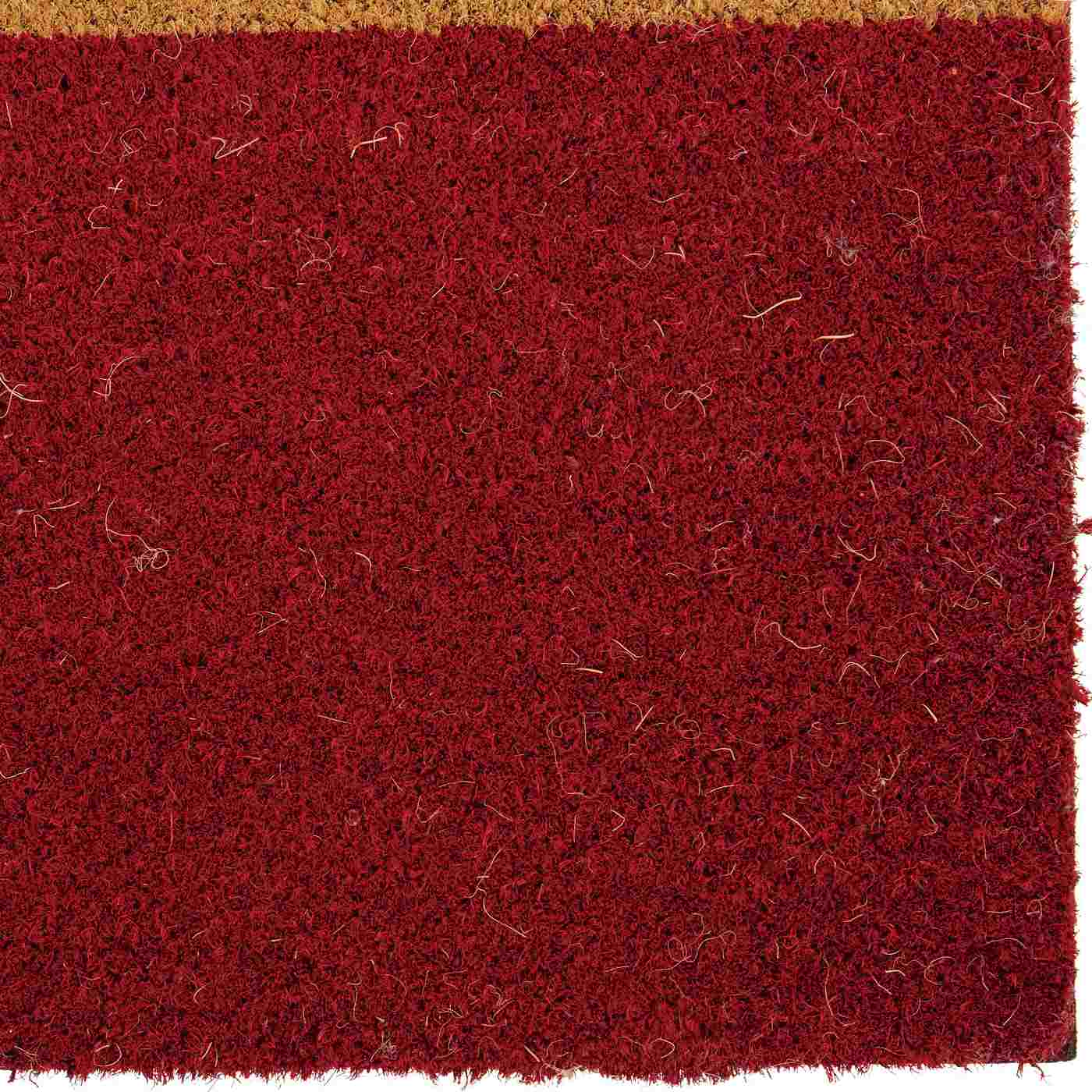 Texas Proud Lonestar Flag Natural Coir Door Mat - Shop Rugs & mats at H-E-B