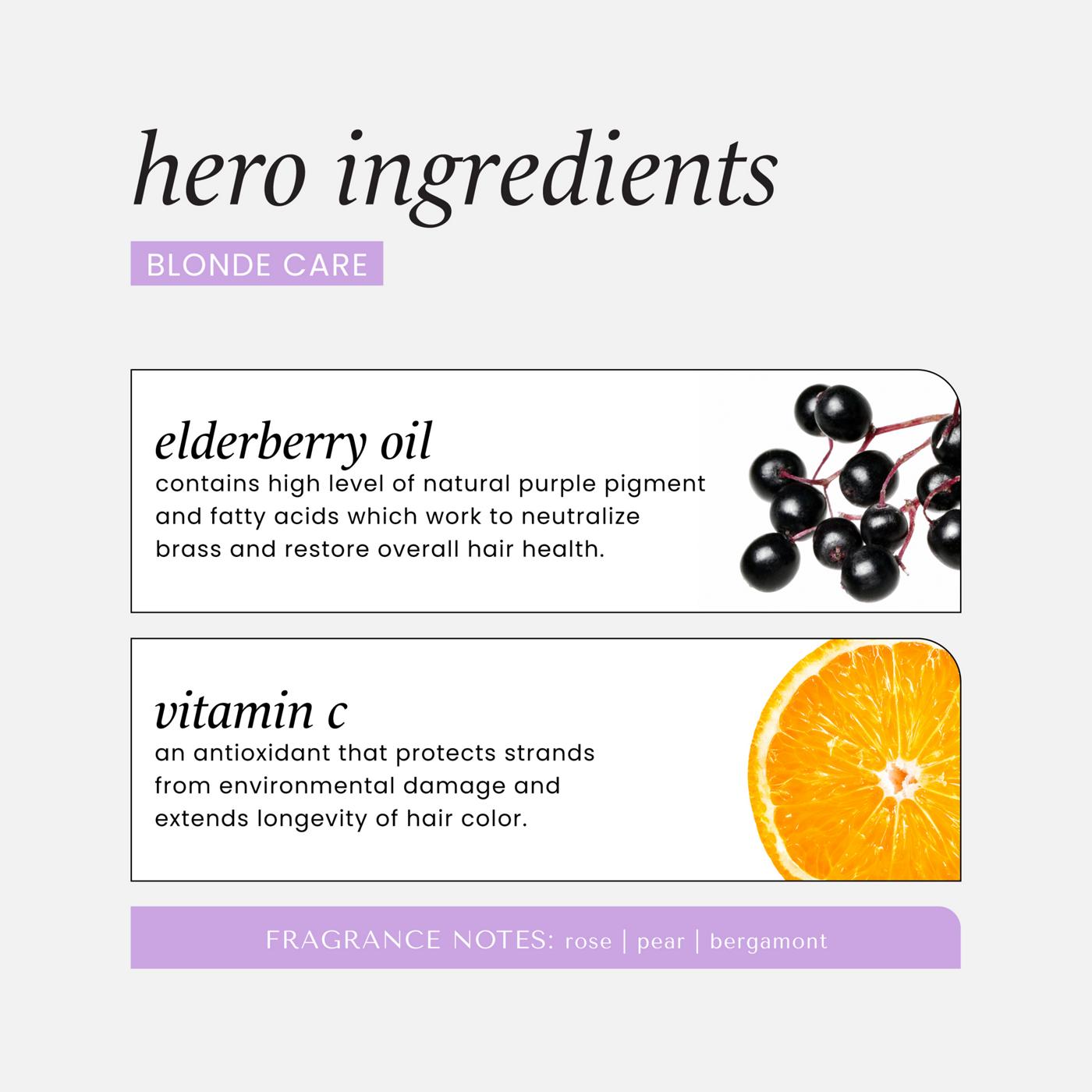 HASK Blonde Care Purple Toning Deep Conditioner - Shop Styling products ...