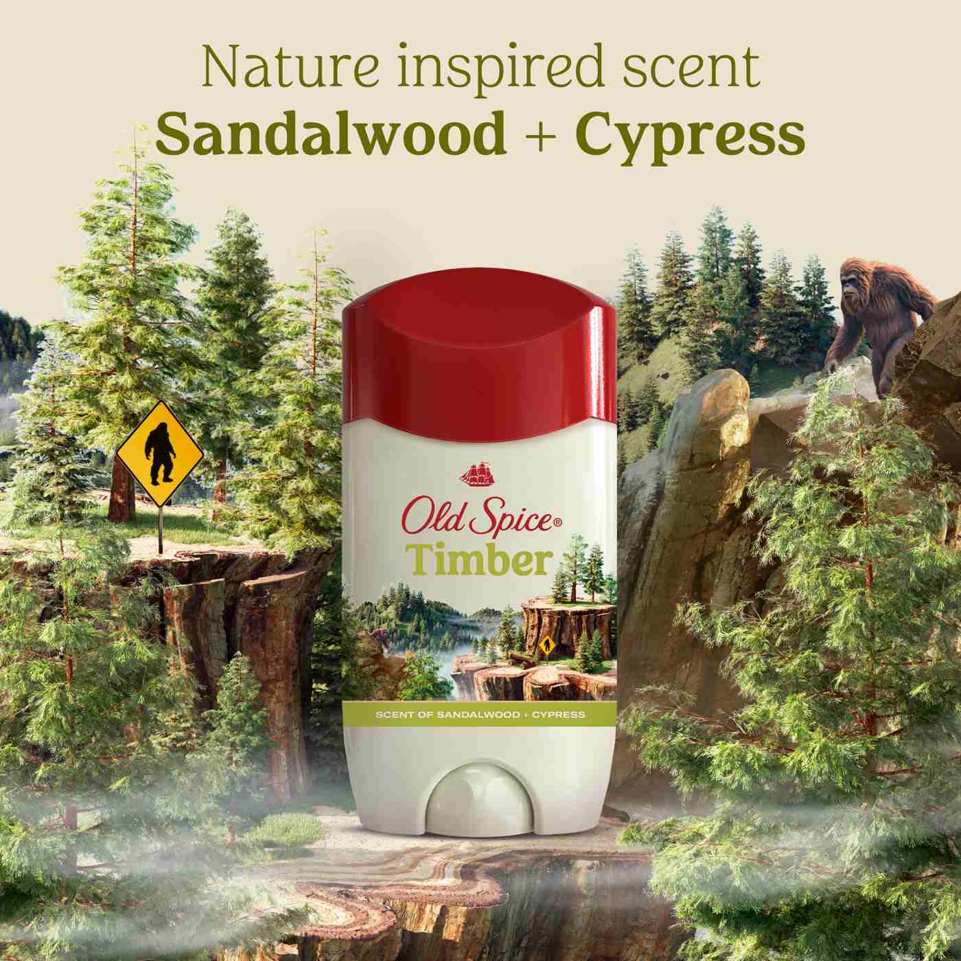 Old Spice Antiperspirant & Deodorant - Timber with Sandalwood - Shop ...