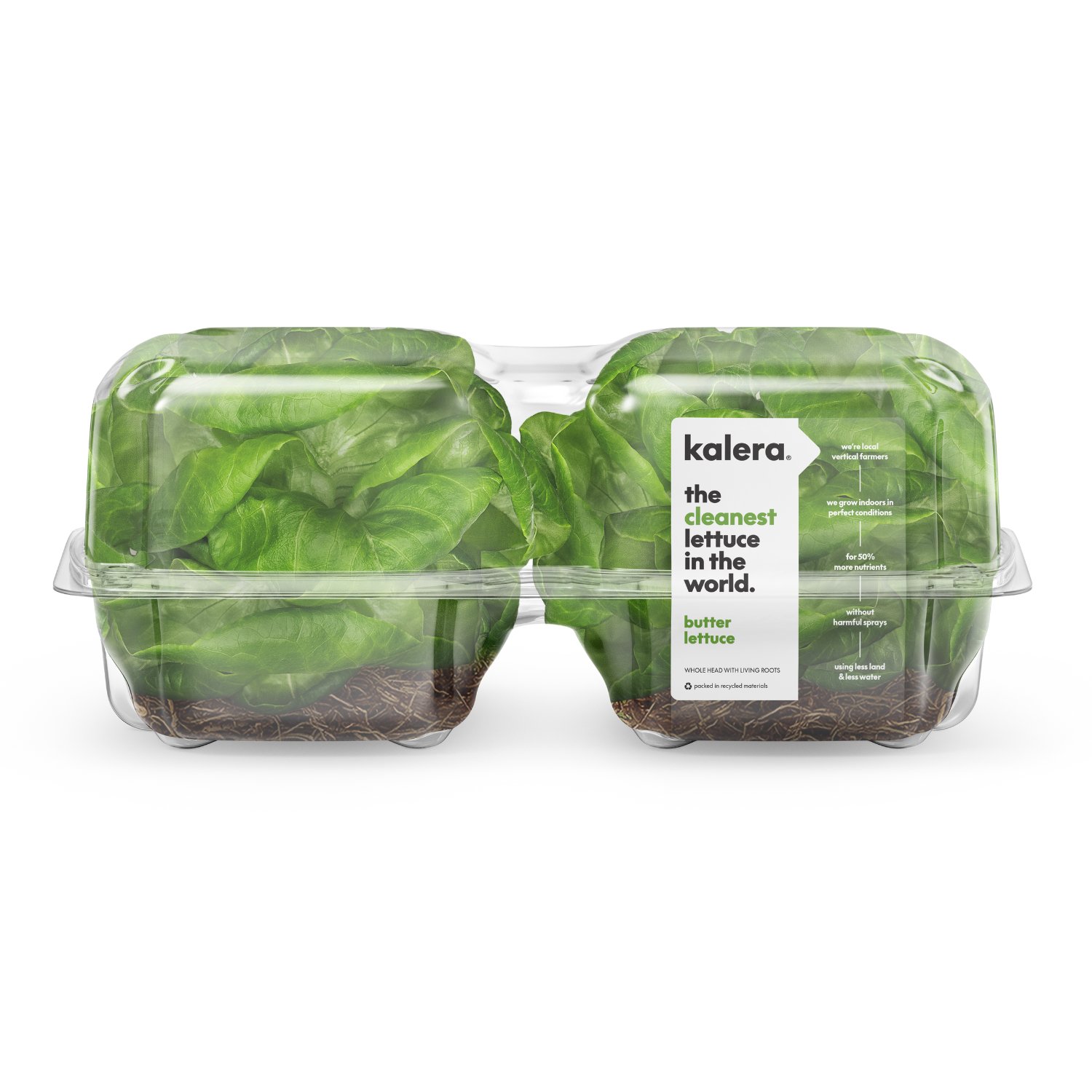Kalera Butter Lettuce - Shop Lettuce & leafy greens at H-E-B