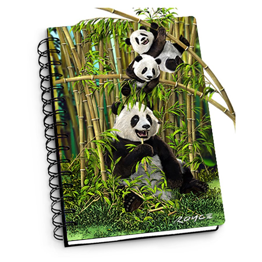 Art Game 3D Pandas Twin Wire Fashion Notebook - Shop Notebooks at H-E-B