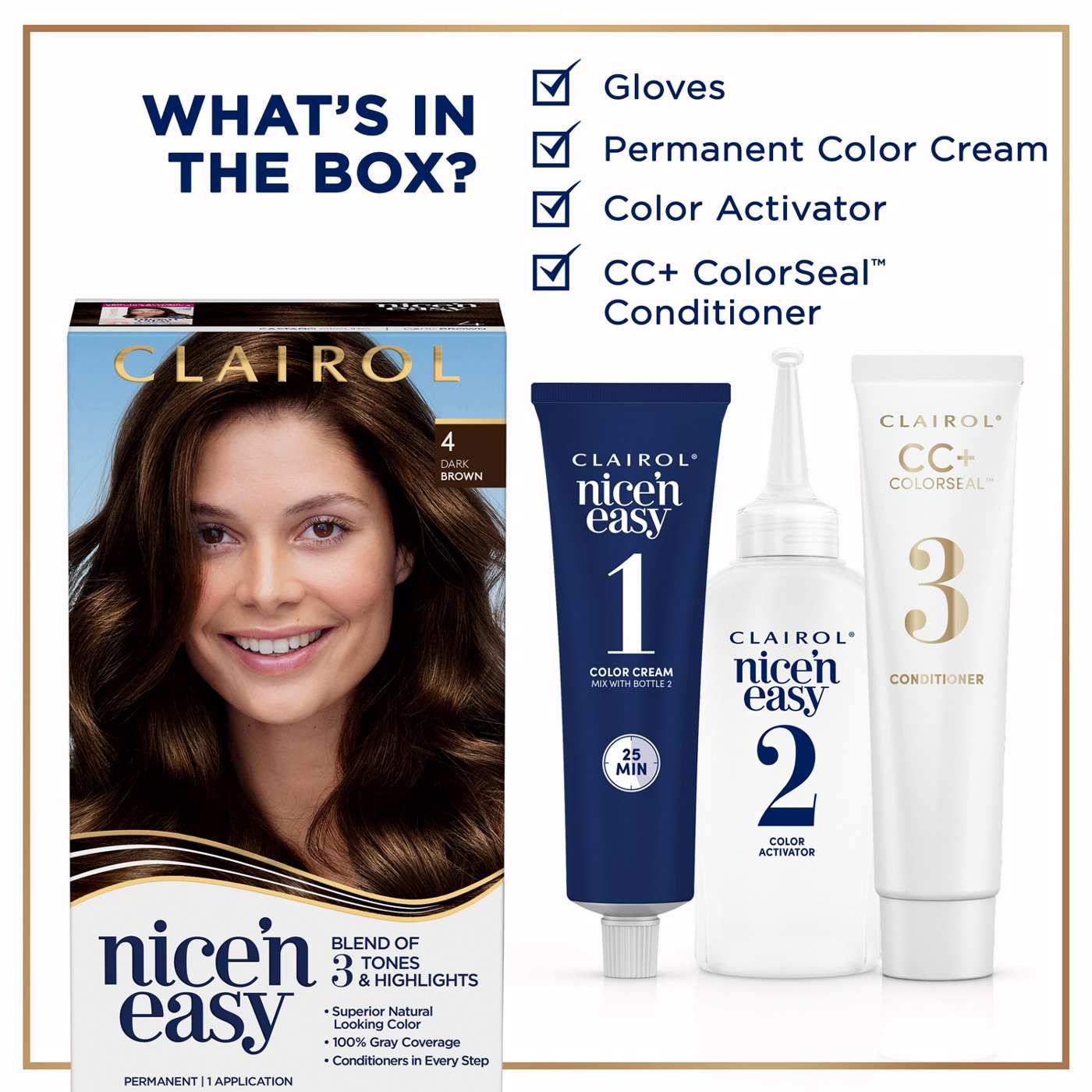 Clairol Nice 'N Easy Permanent Hair Color 1V Deepest Plum Black - Shop ...